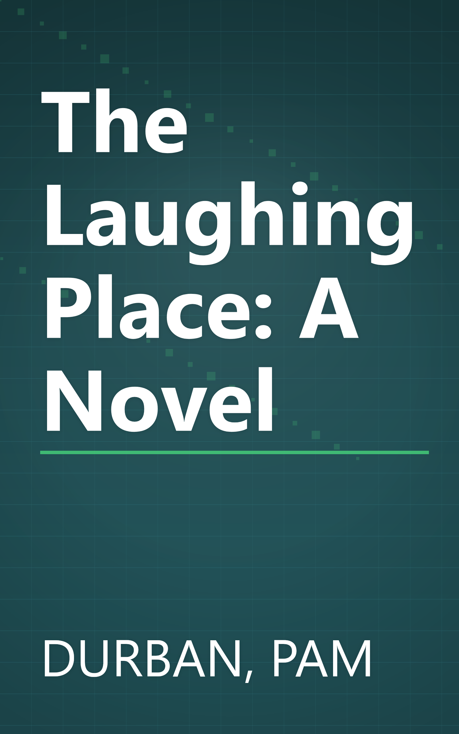 The Laughing Place: A Novel book cover
