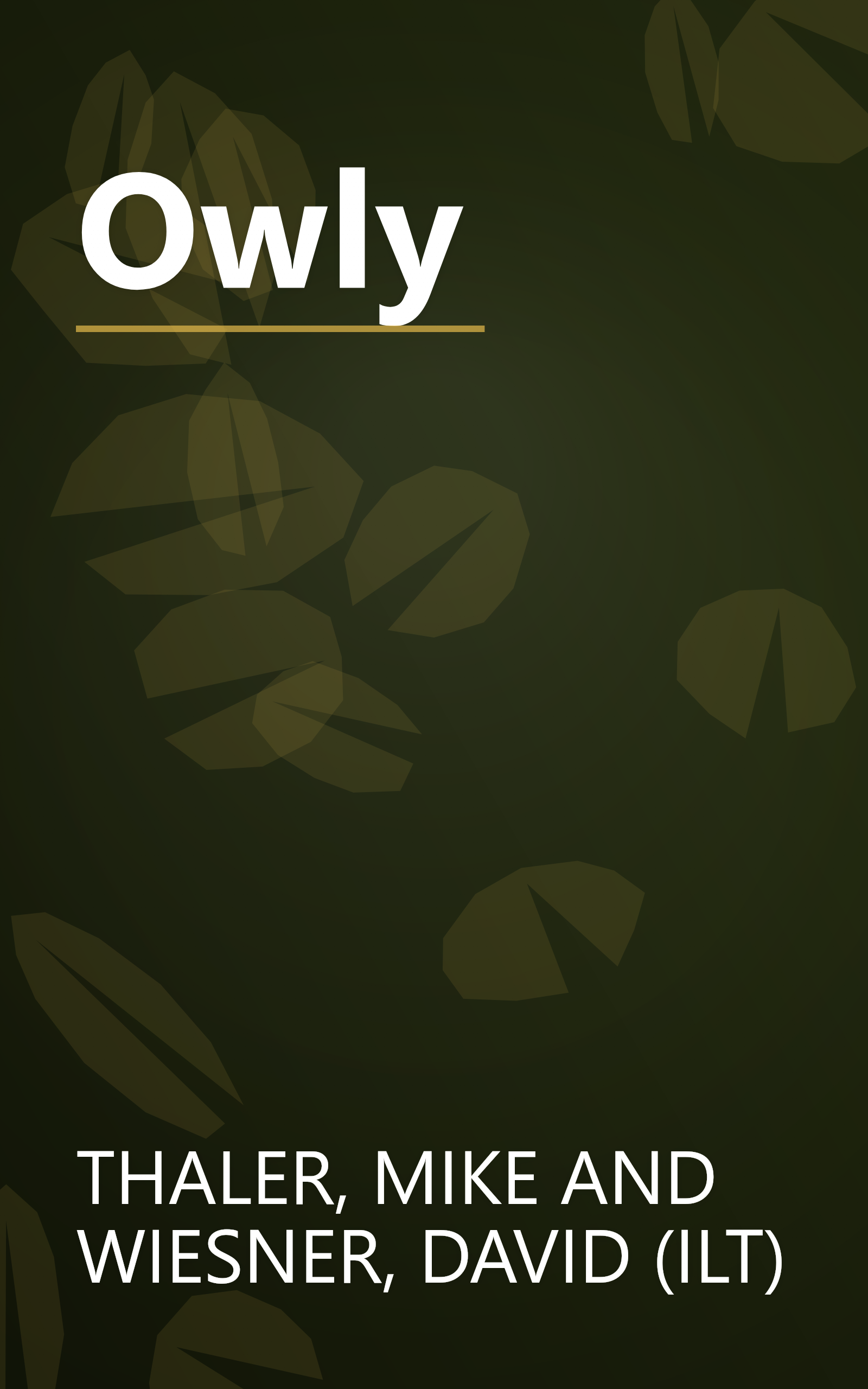 Owly book cover