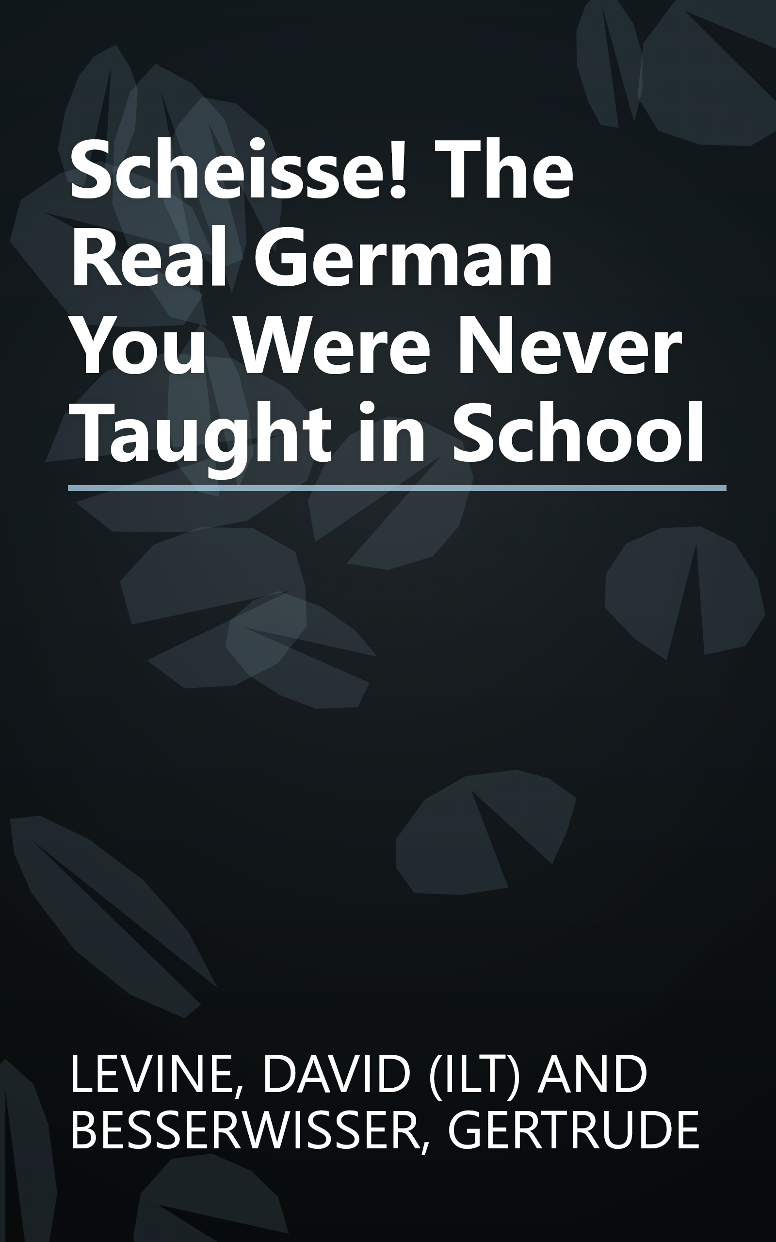 Scheisse! The Real German You Were Never Taught in School book cover