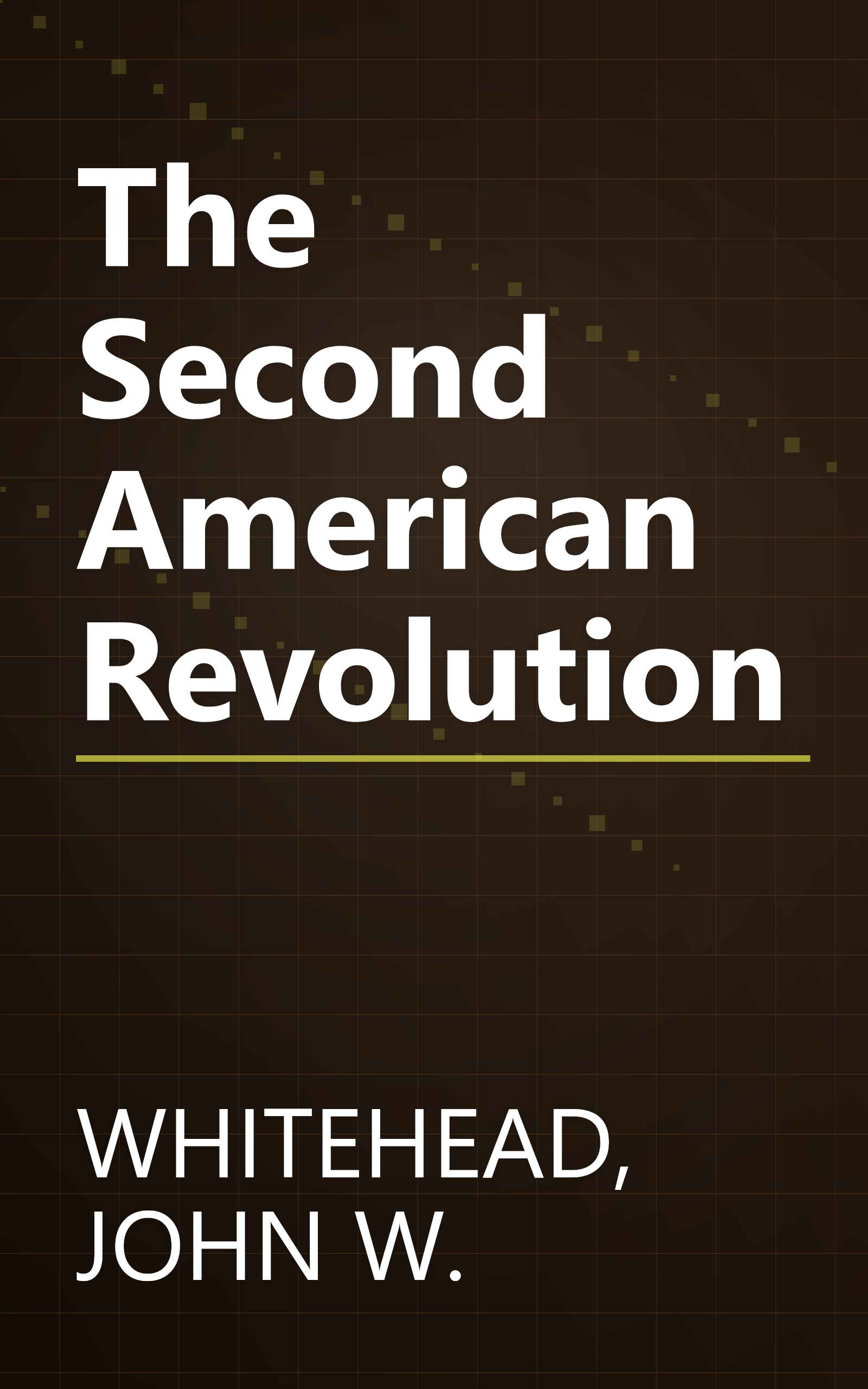 The Second American Revolution book cover