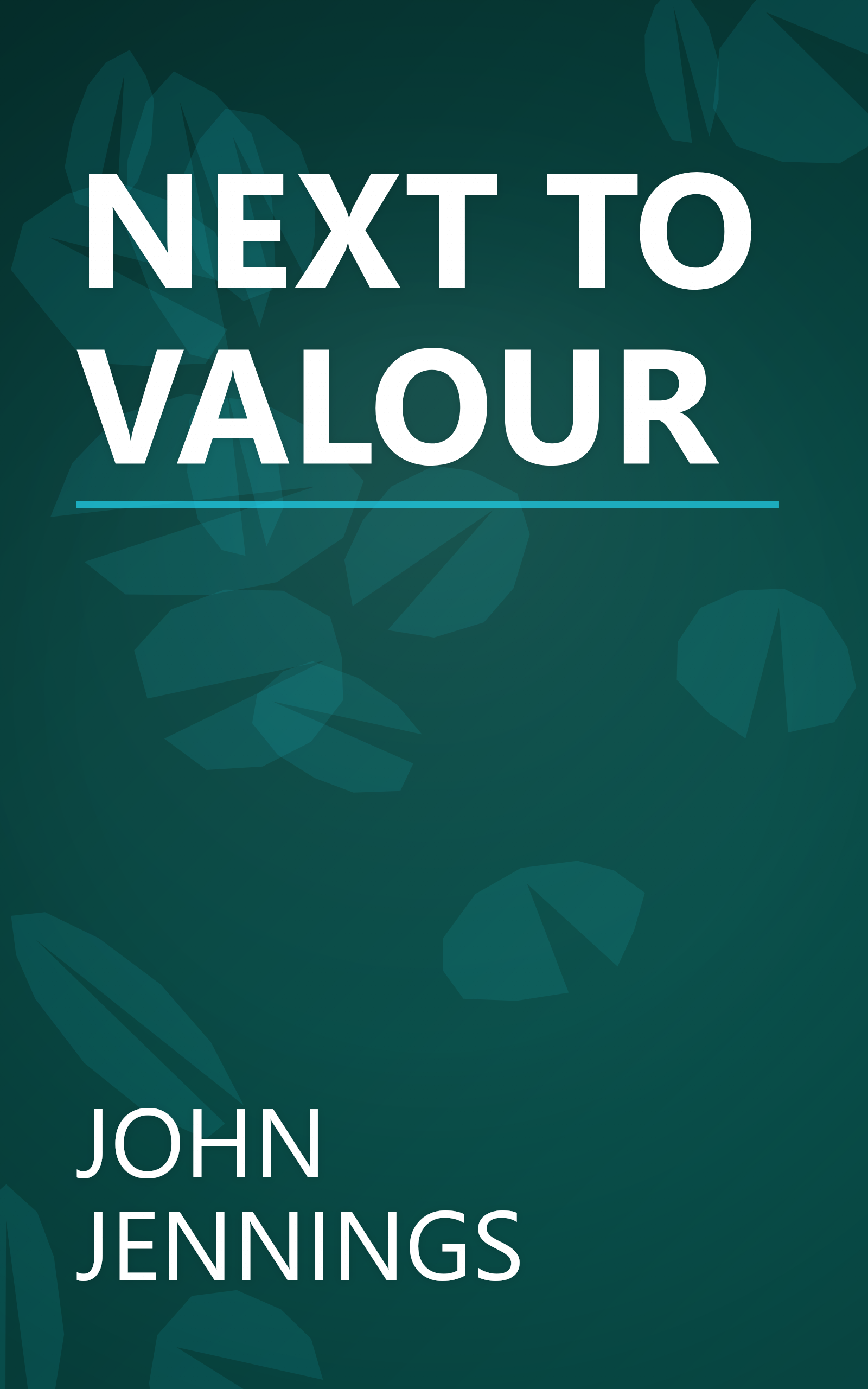 NEXT TO VALOUR book cover