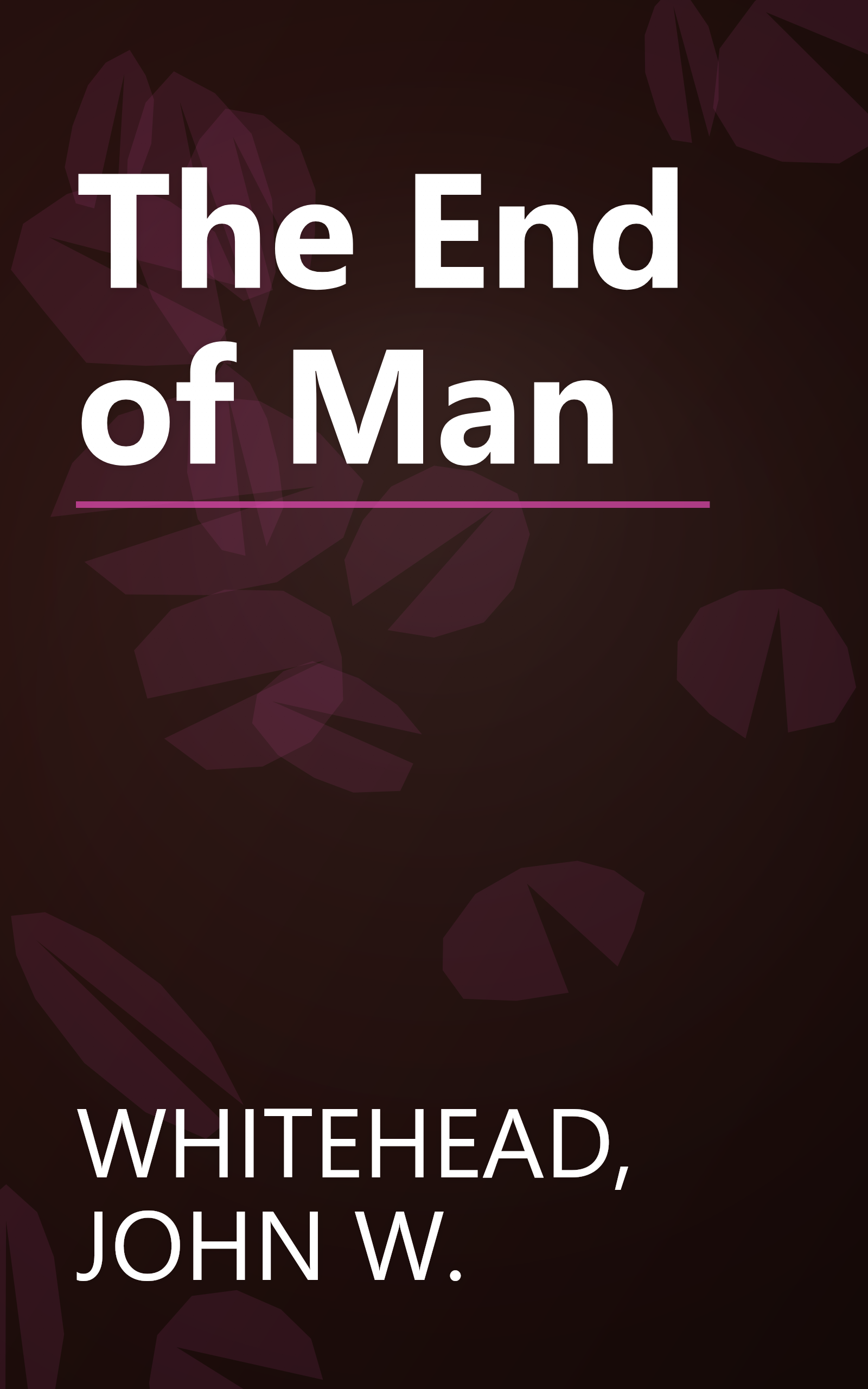 The End of Man book cover