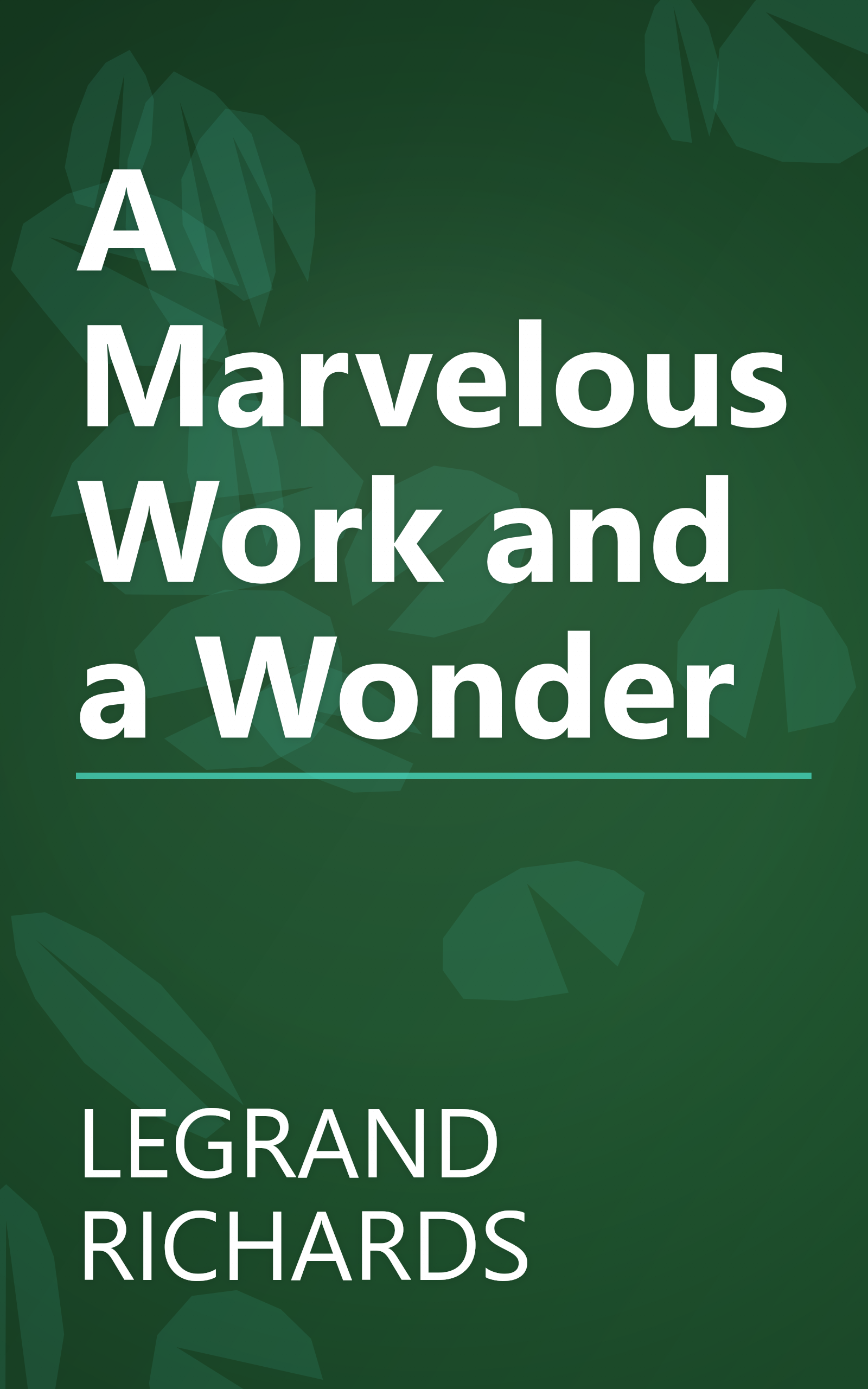 A Marvelous Work and a Wonder book cover