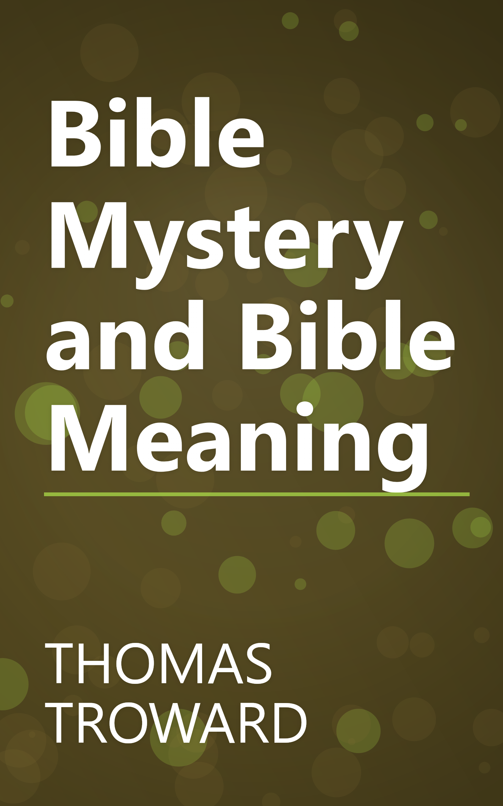 Bible Mystery and Bible Meaning book cover