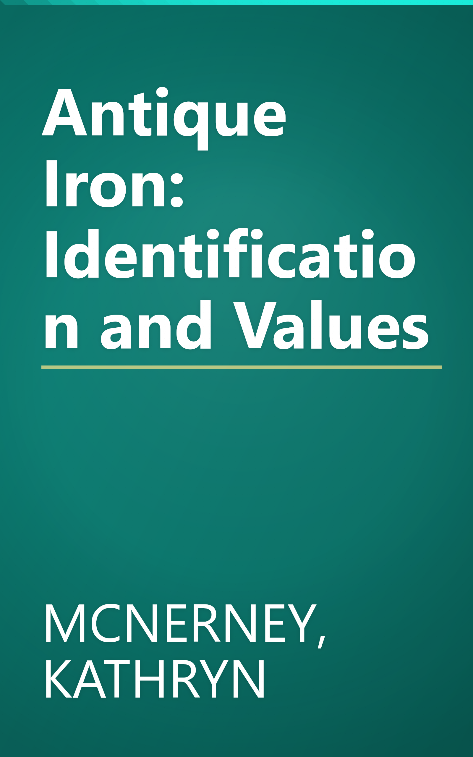 Antique Iron: Identification and Values book cover