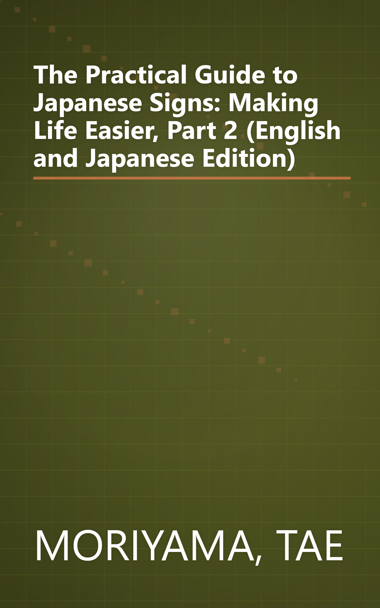 The Practical Guide to Japanese Signs: Making Life Easier, Part 2 (English and Japanese Edition) book cover