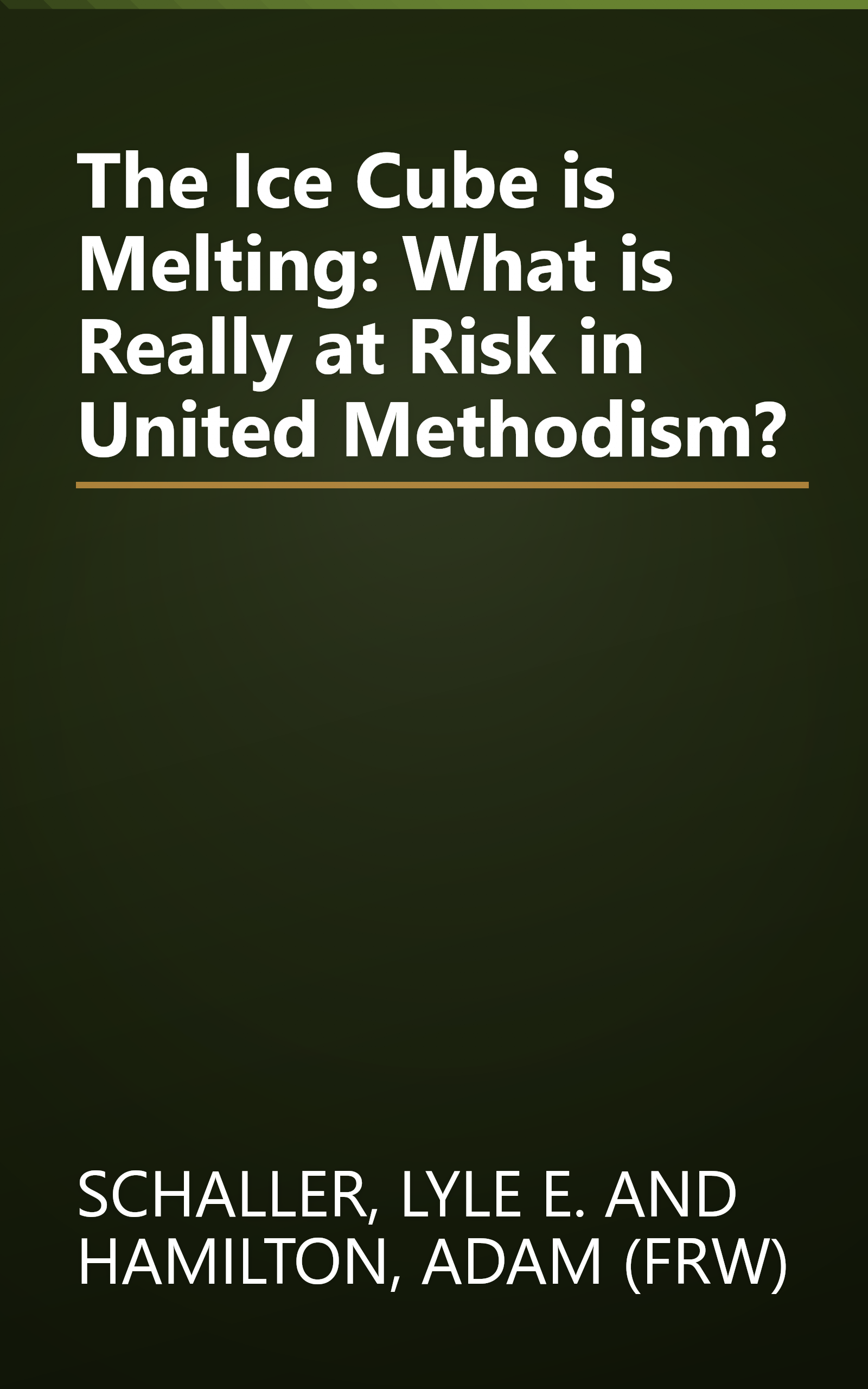 The Ice Cube is Melting: What is Really at Risk in United Methodism? book cover