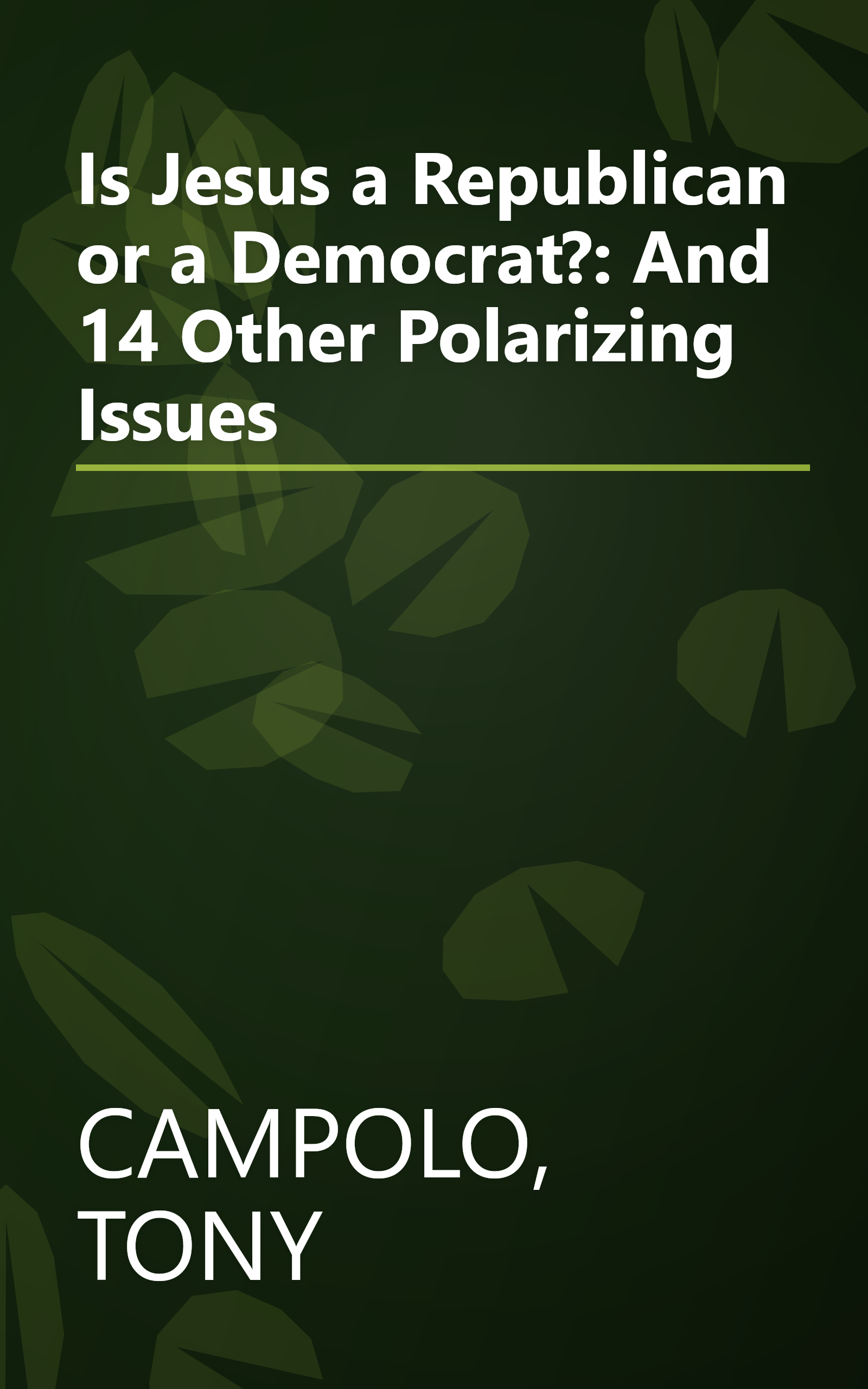 Is Jesus a Republican or a Democrat?: And 14 Other Polarizing Issues book cover