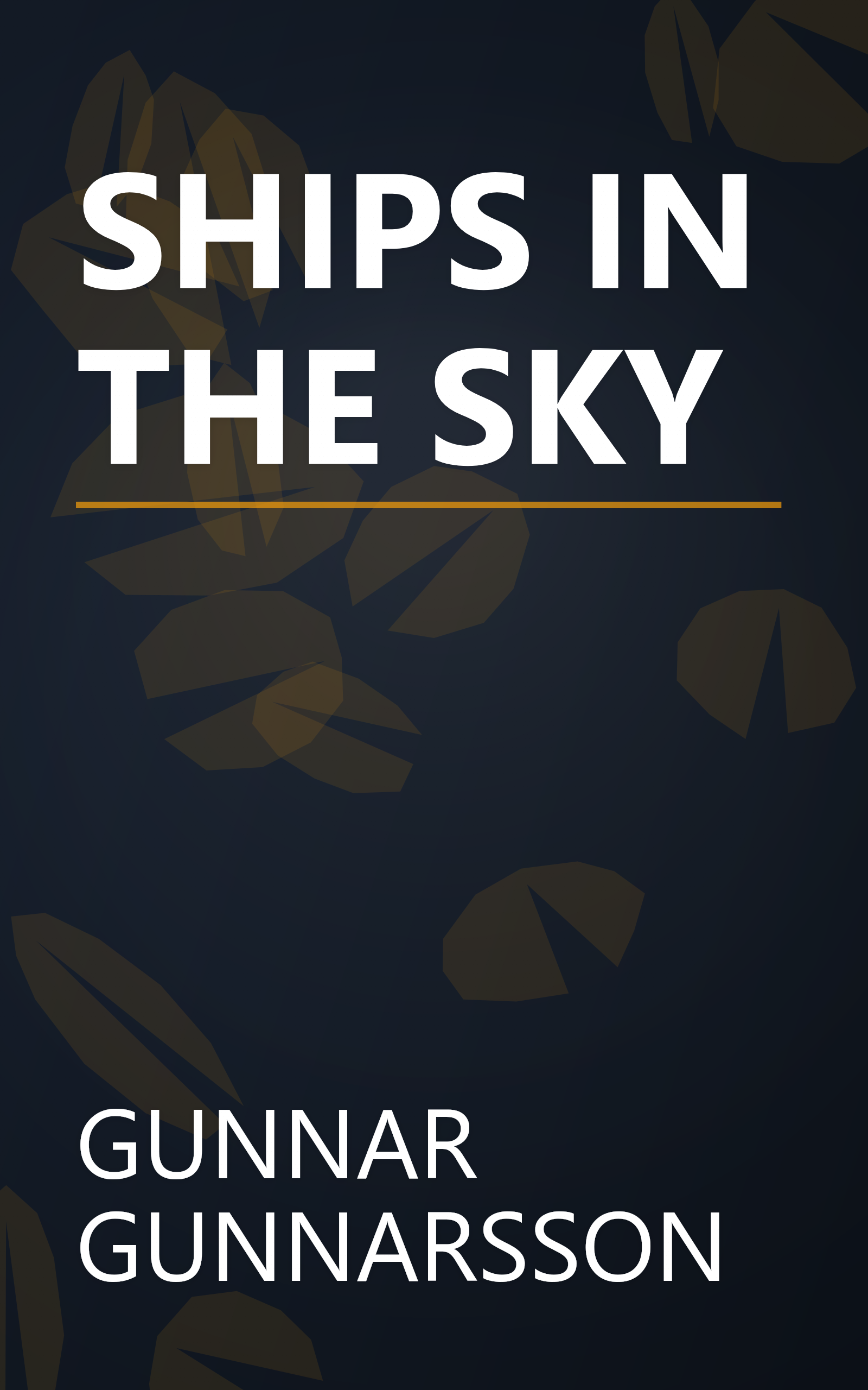 SHIPS IN THE SKY book cover
