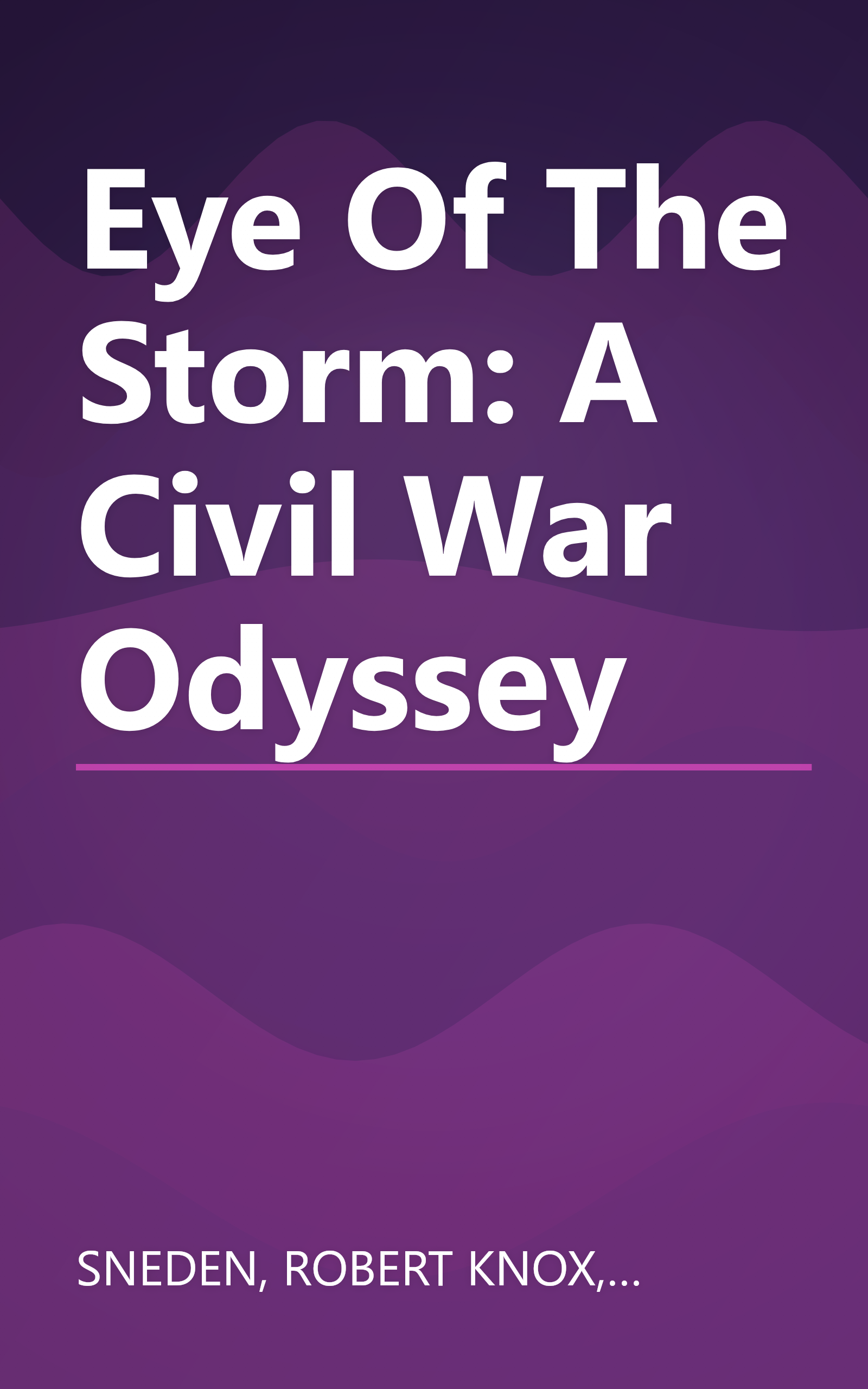 Eye Of The Storm: A Civil War Odyssey book cover