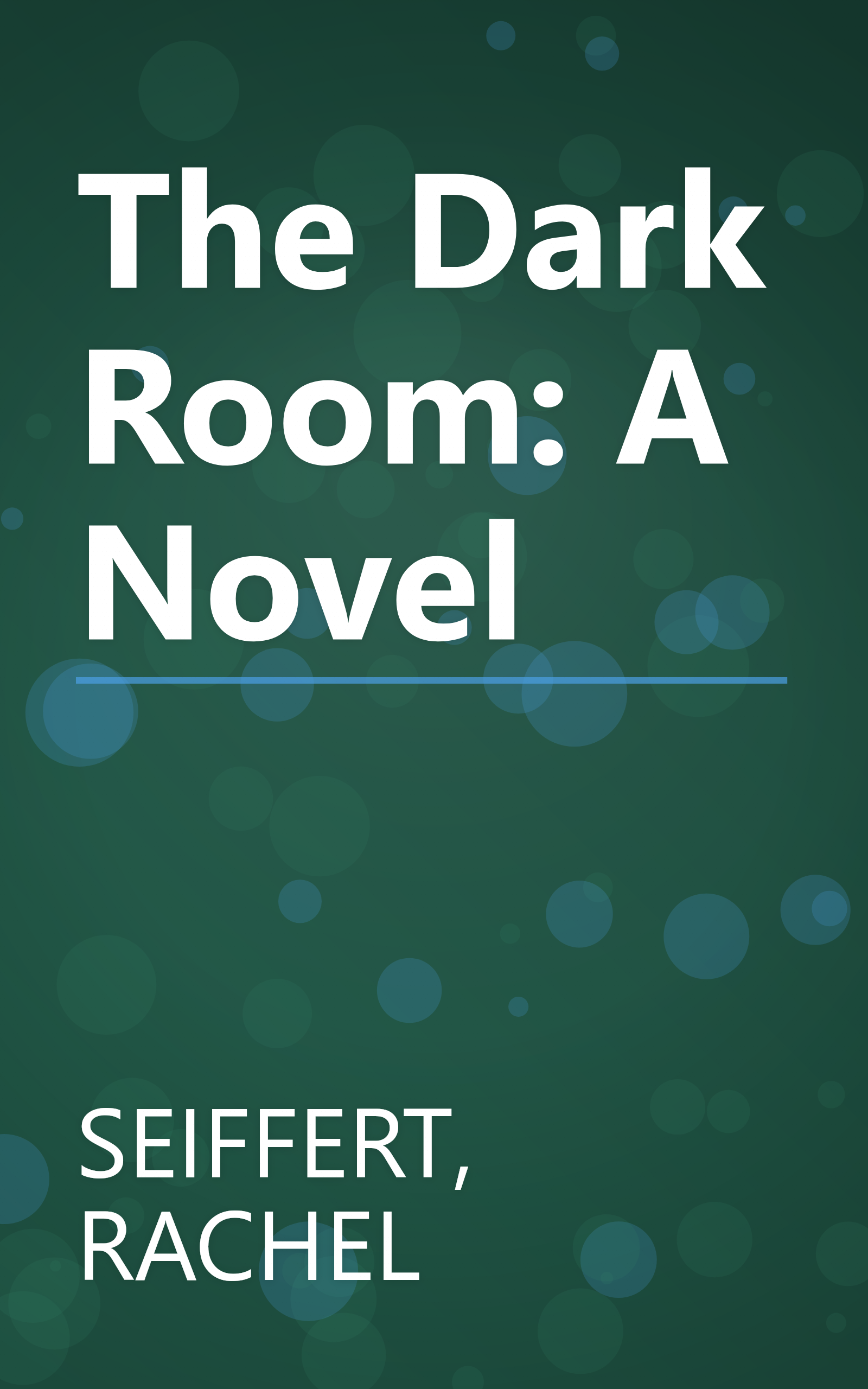 The Dark Room: A Novel book cover