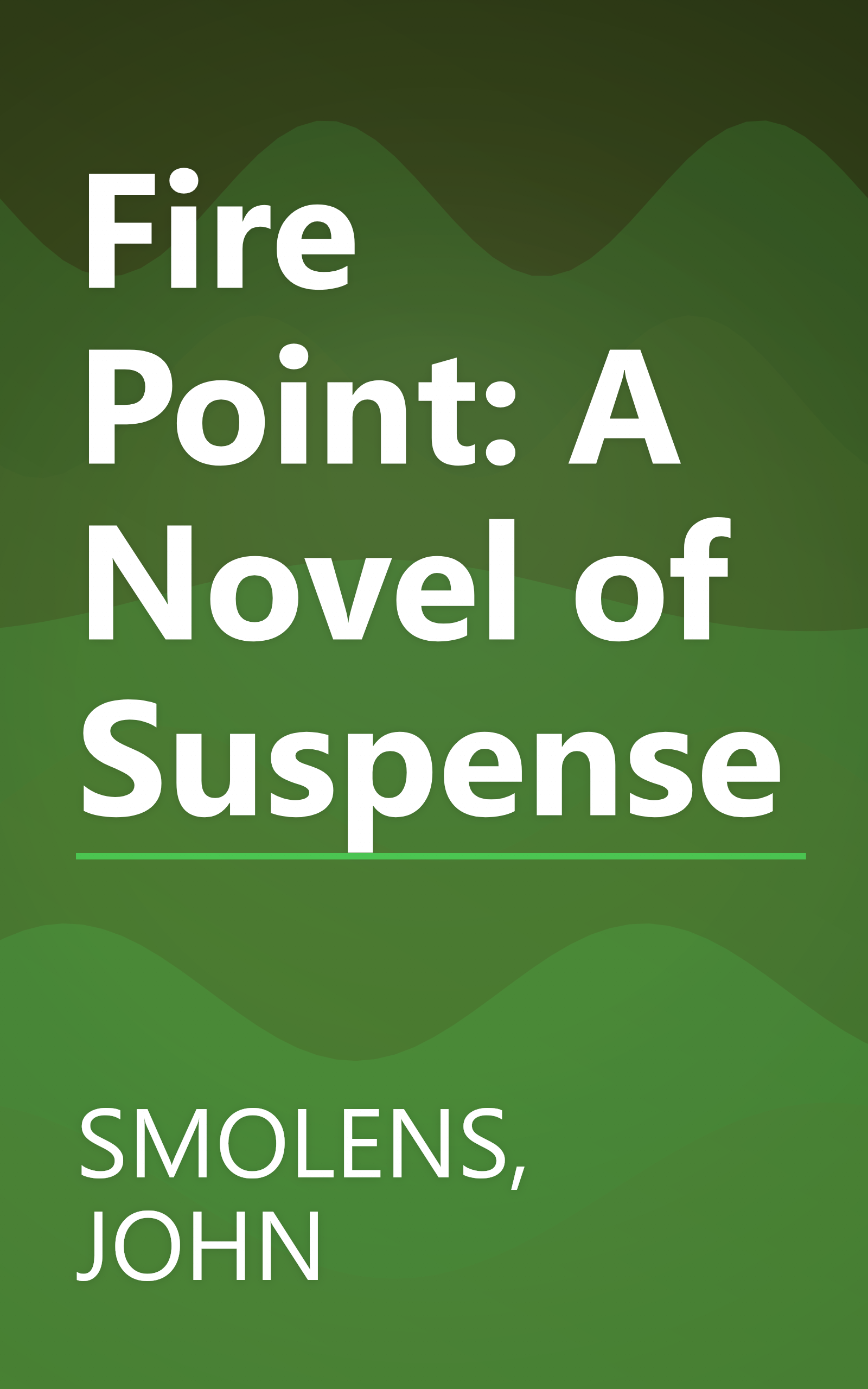 Fire Point: A Novel of Suspense book cover