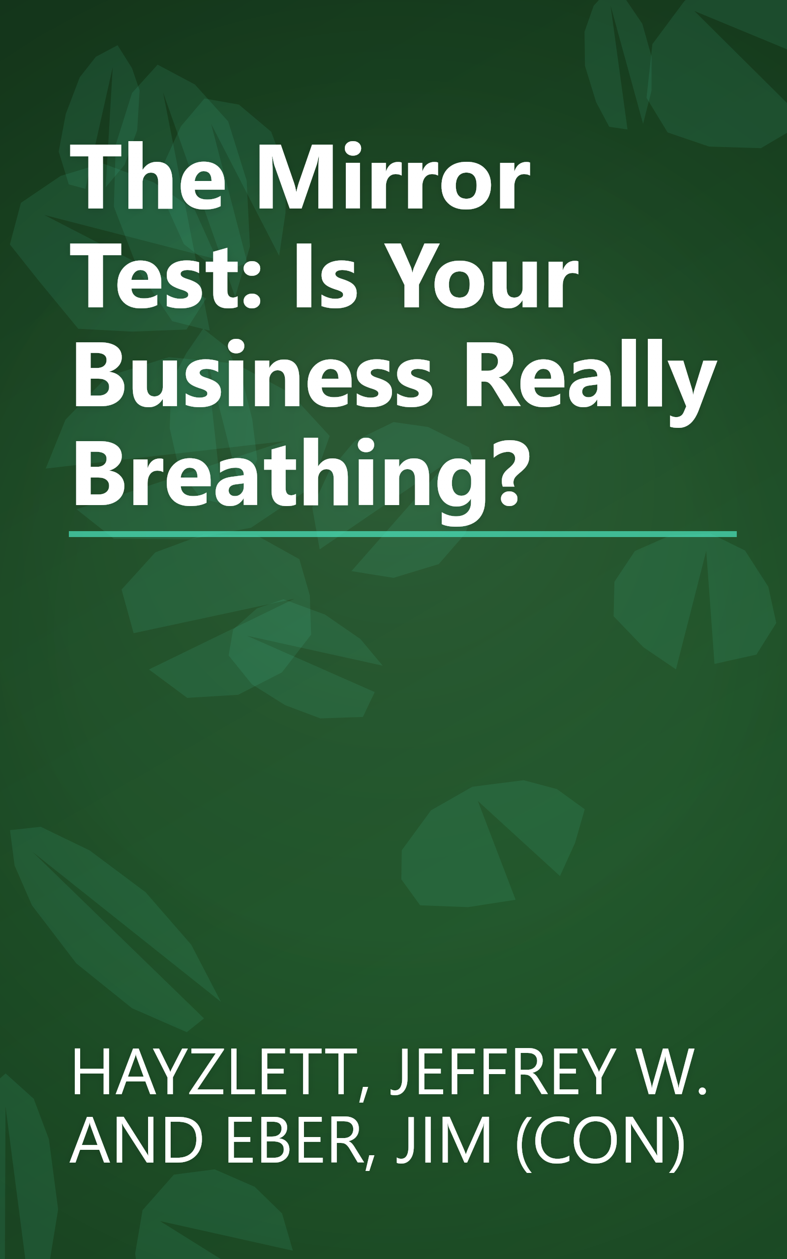 The Mirror Test: Is Your Business Really Breathing? book cover