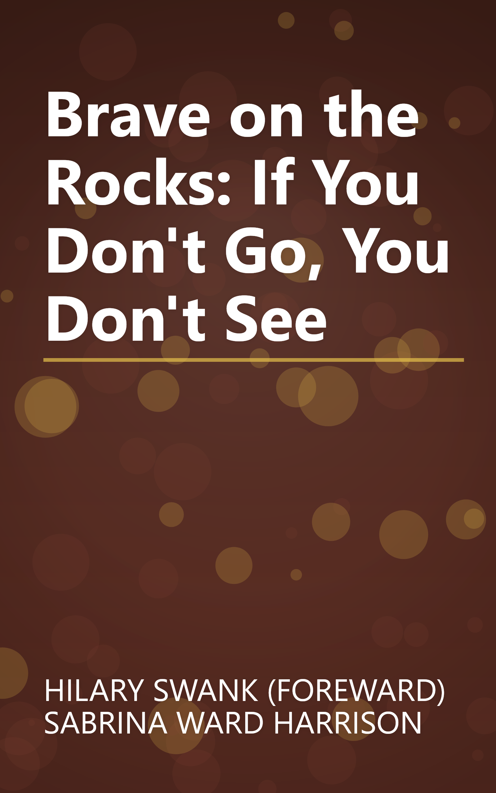 Brave on the Rocks: If You Don't Go, You Don't See book cover