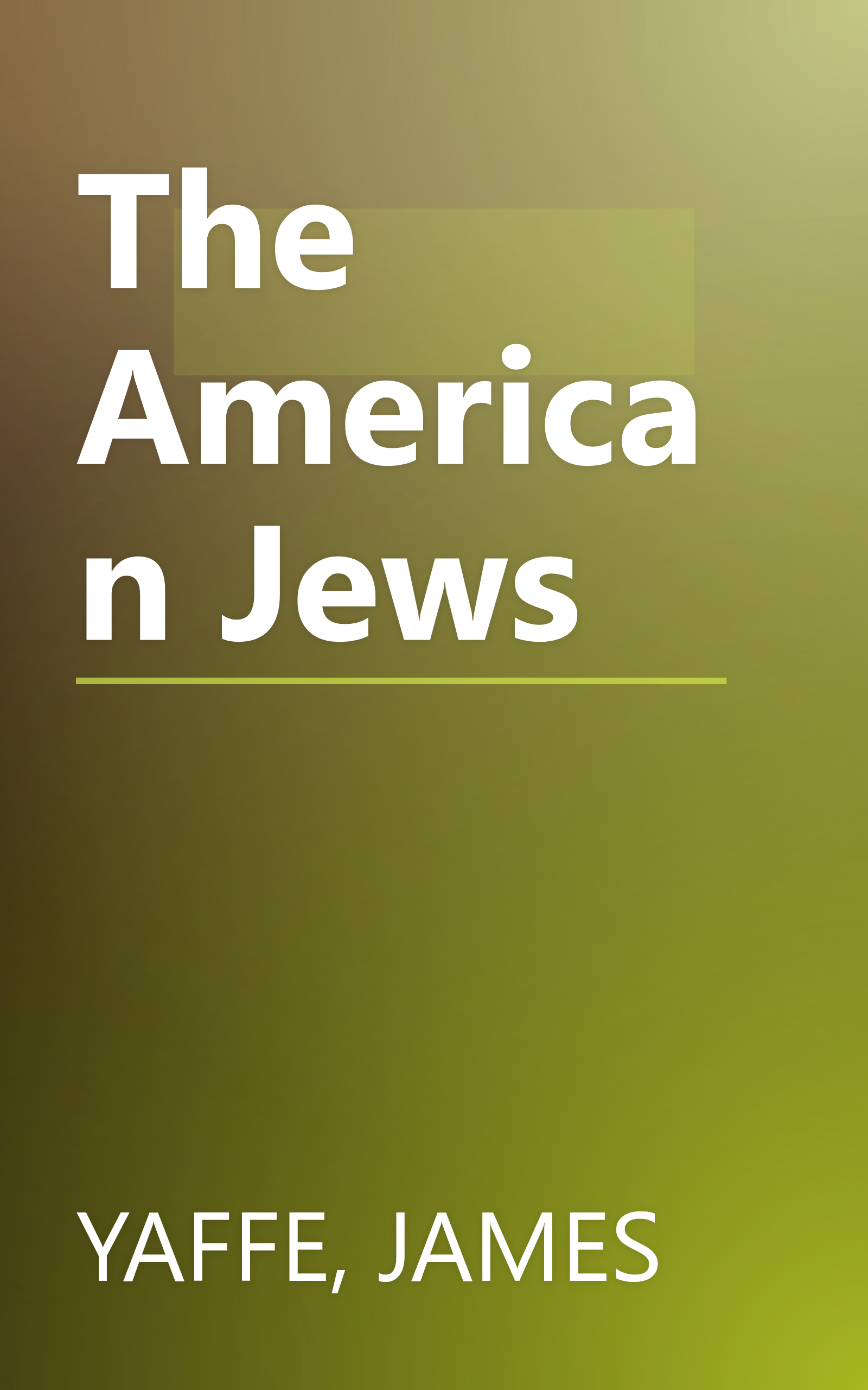 The American Jews book cover