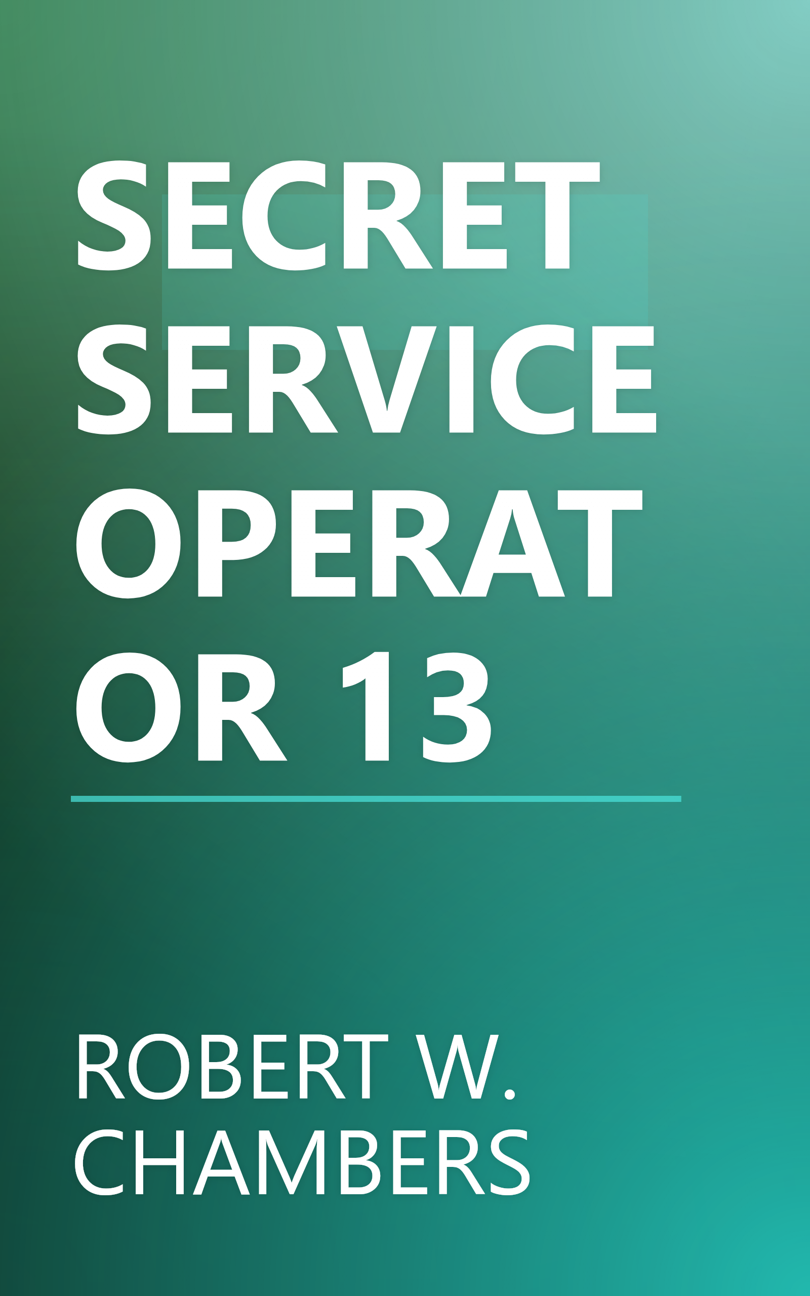 SECRET SERVICE OPERATOR 13 book cover