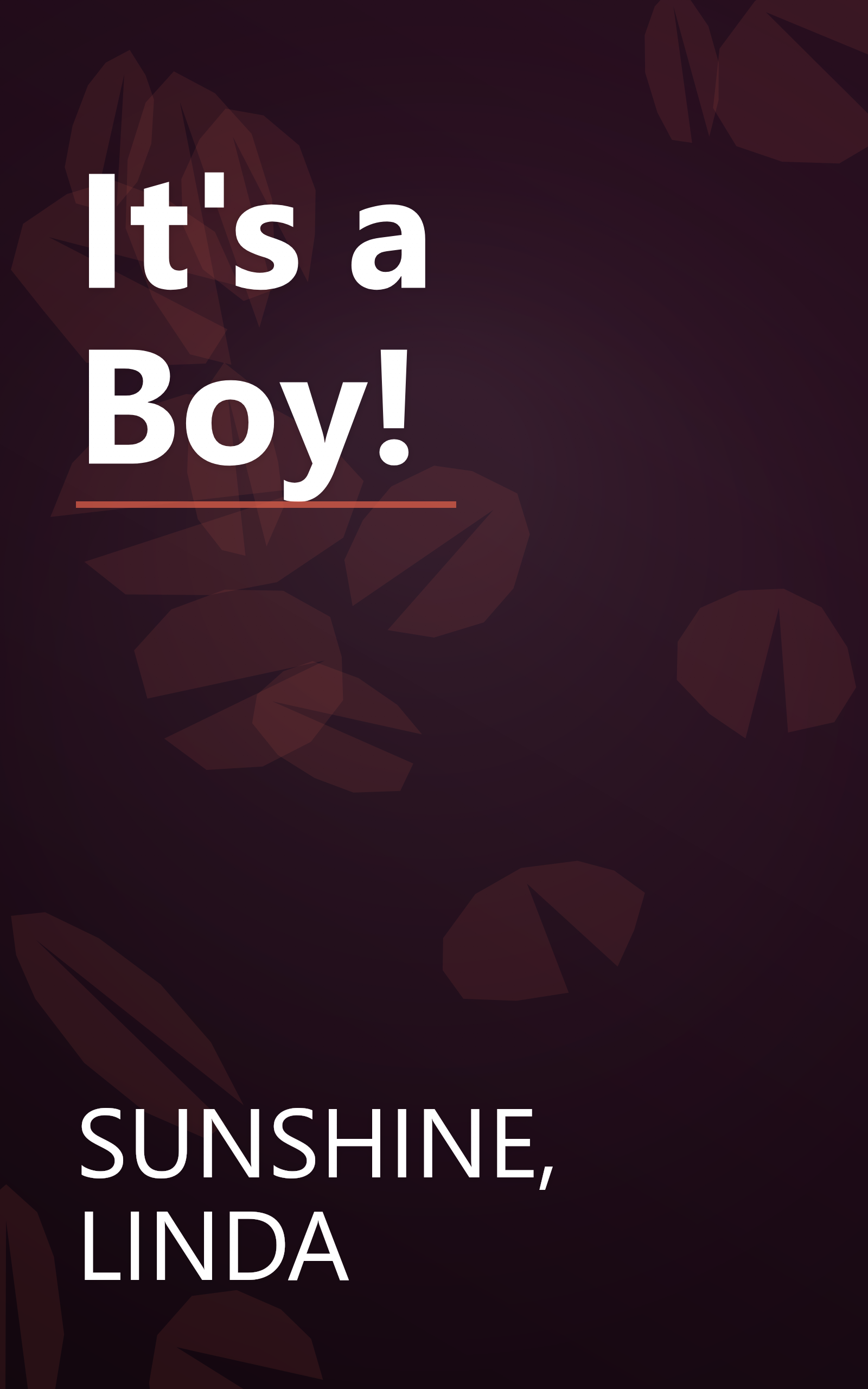 It's a Boy! book cover