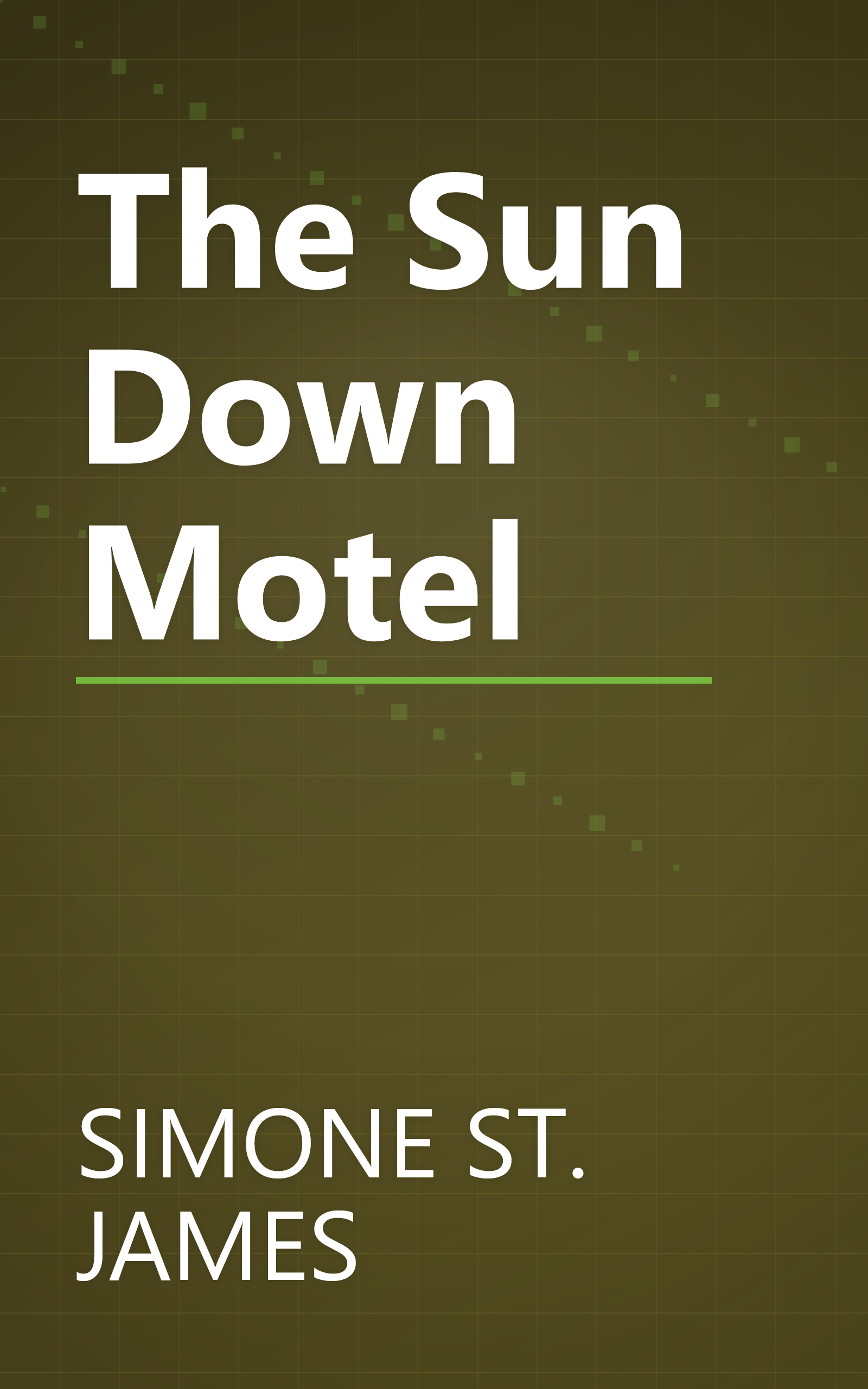 The Sun Down Motel book cover
