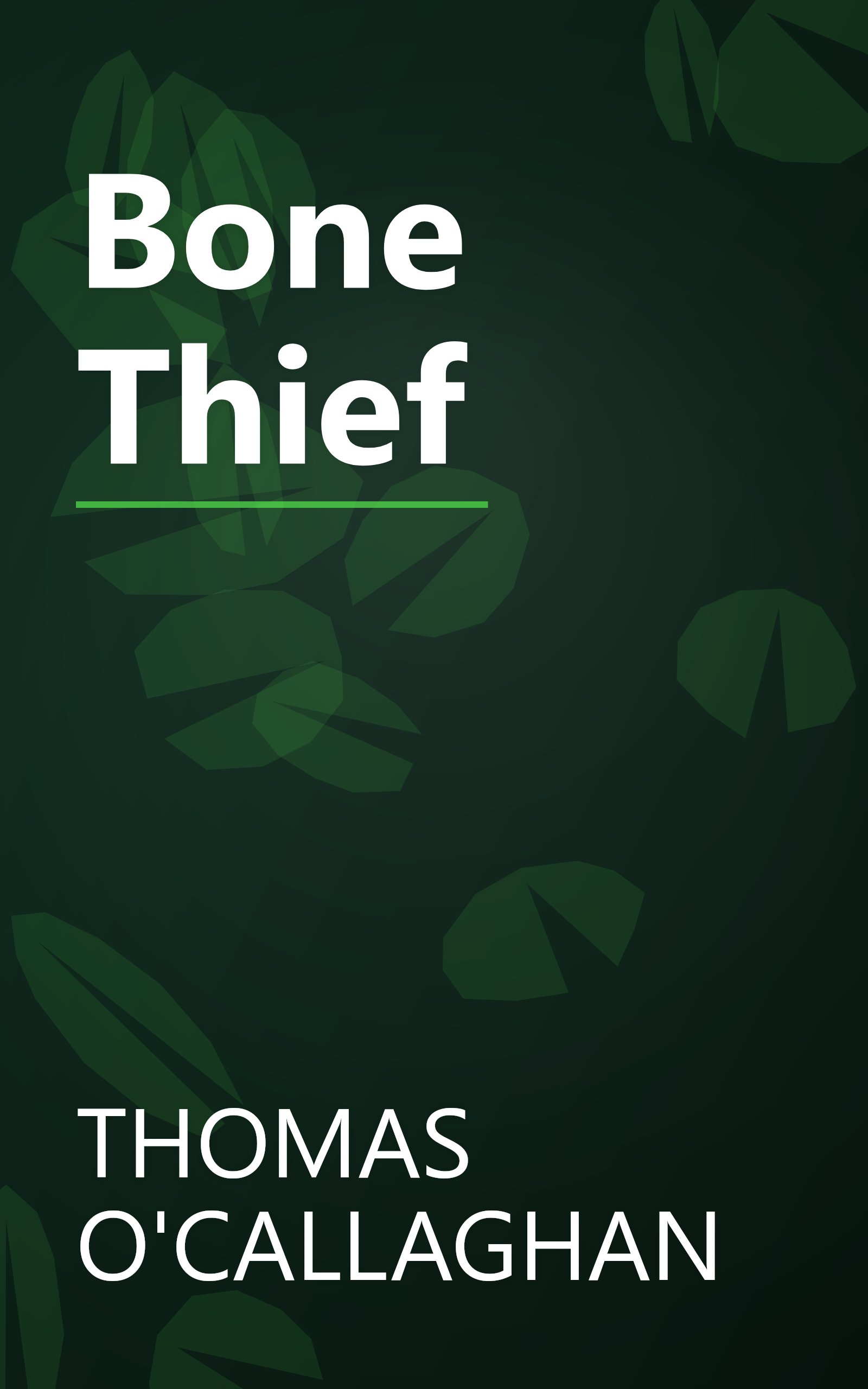 Bone Thief book cover