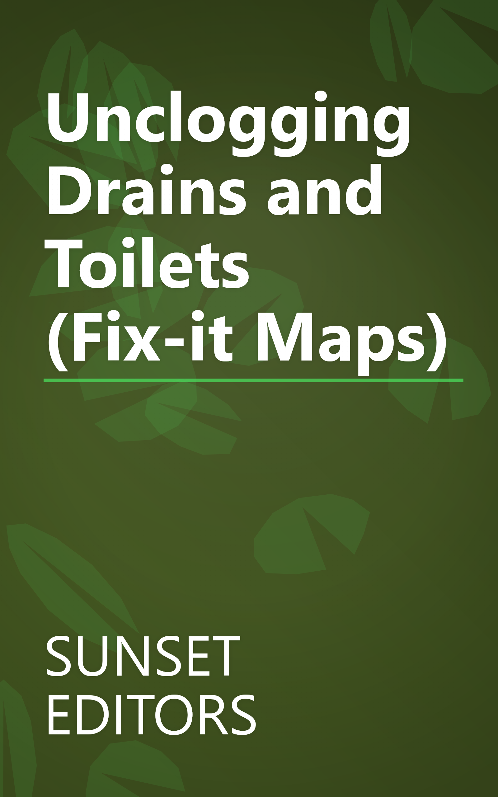 Unclogging Drains and Toilets (Fix-it Maps) book cover