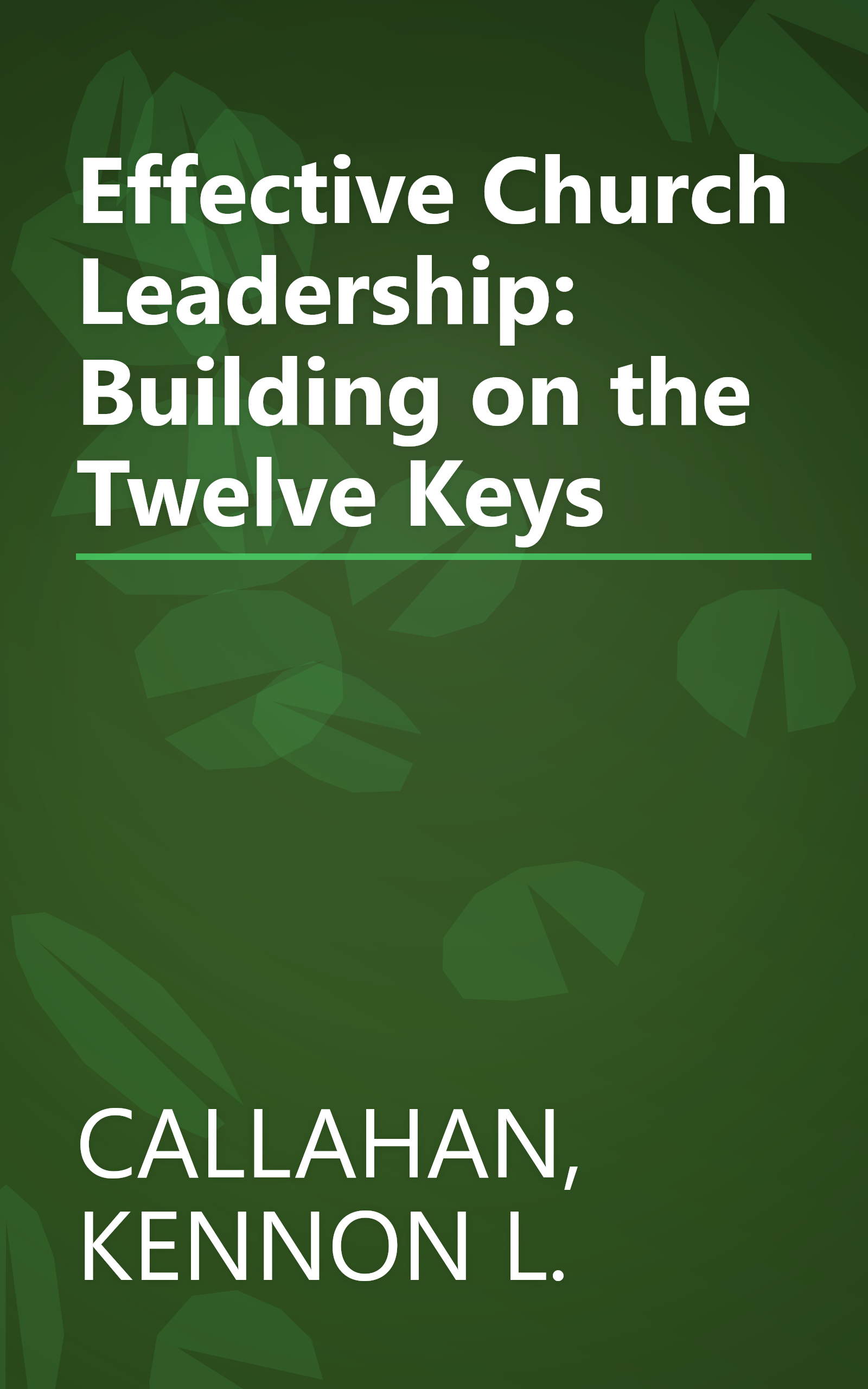 Effective Church Leadership: Building on the Twelve Keys book cover