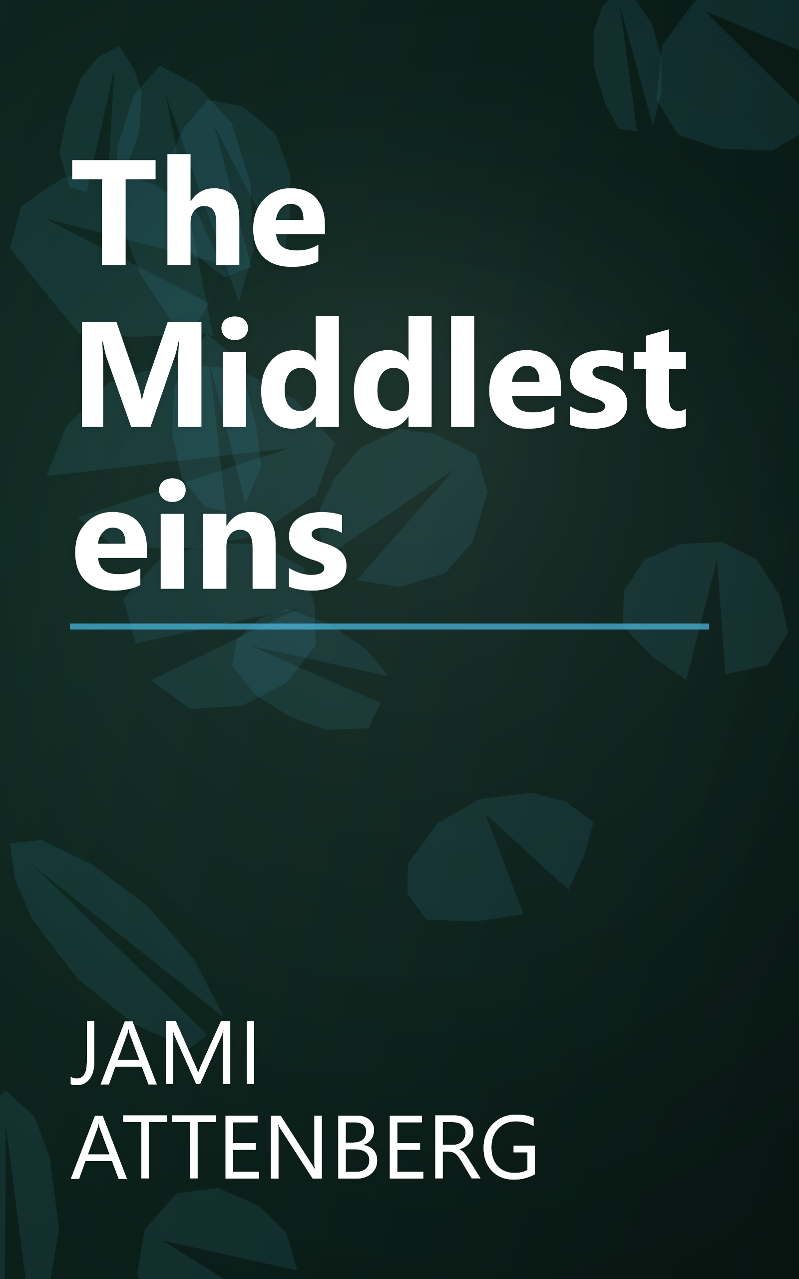 The Middlesteins book cover