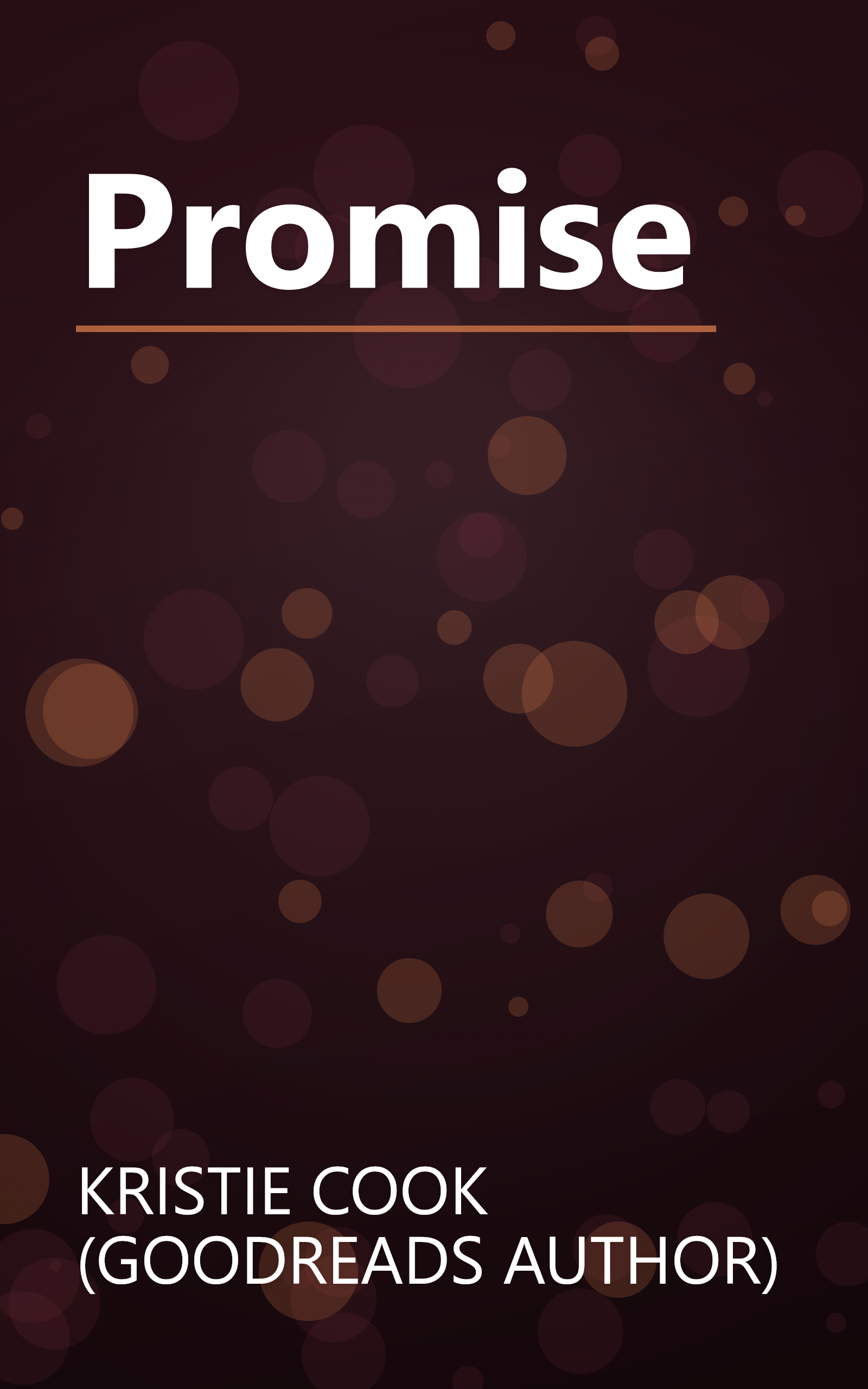 Promise book cover