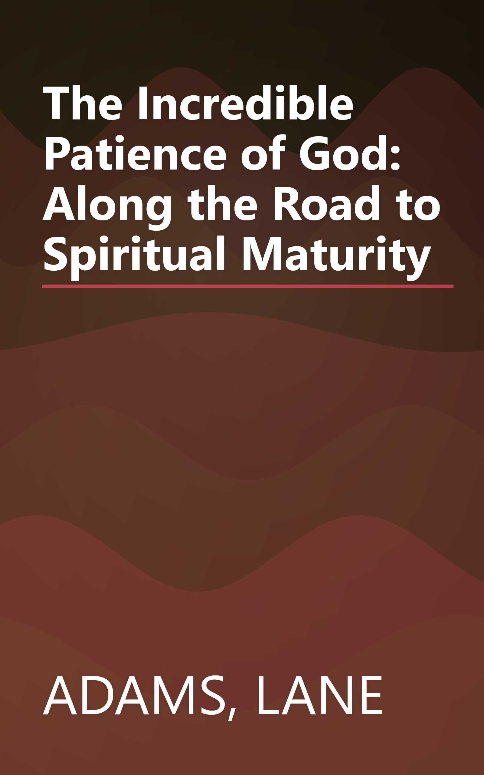 The Incredible Patience of God: Along the Road to Spiritual Maturity book cover