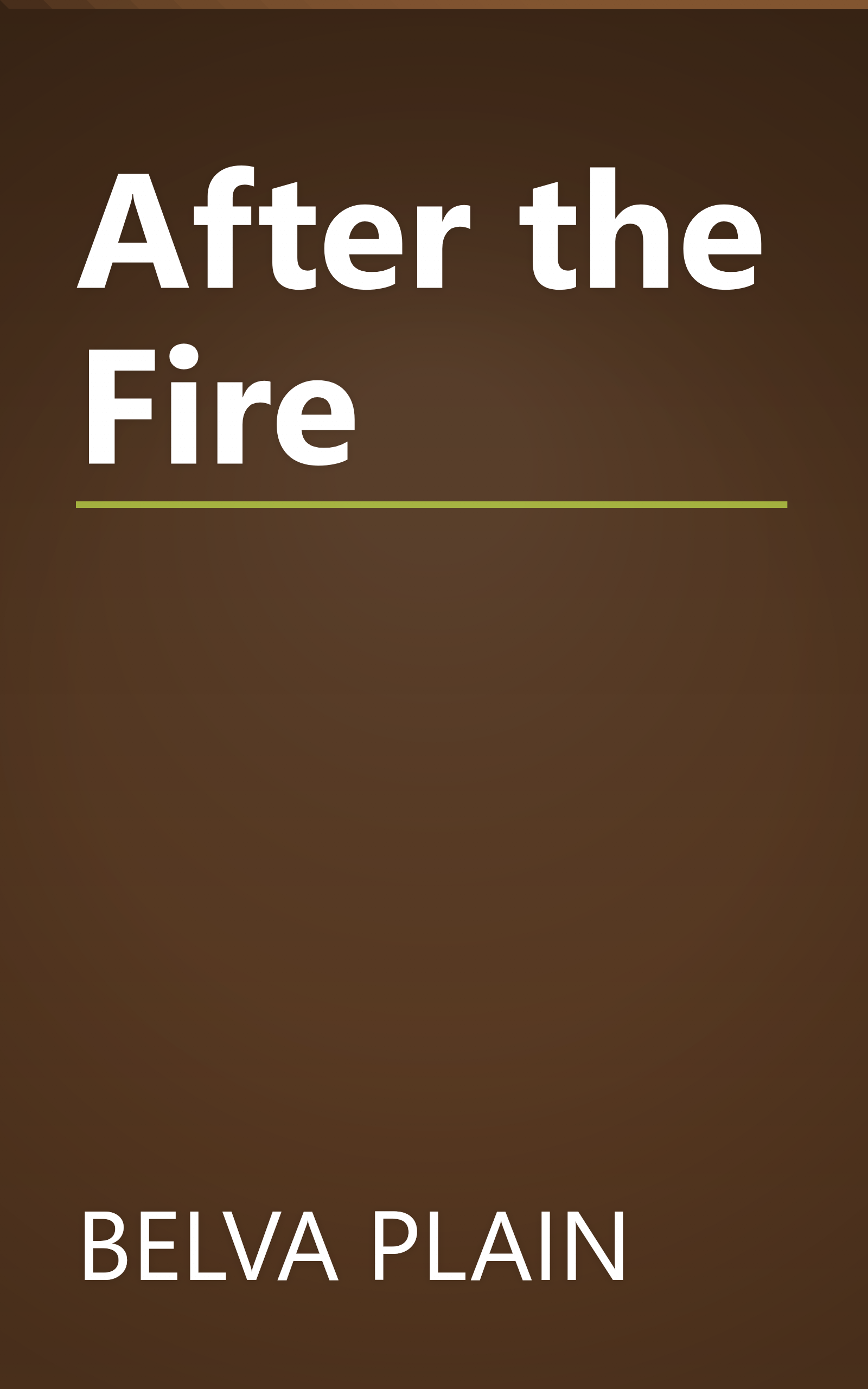 After the Fire book cover