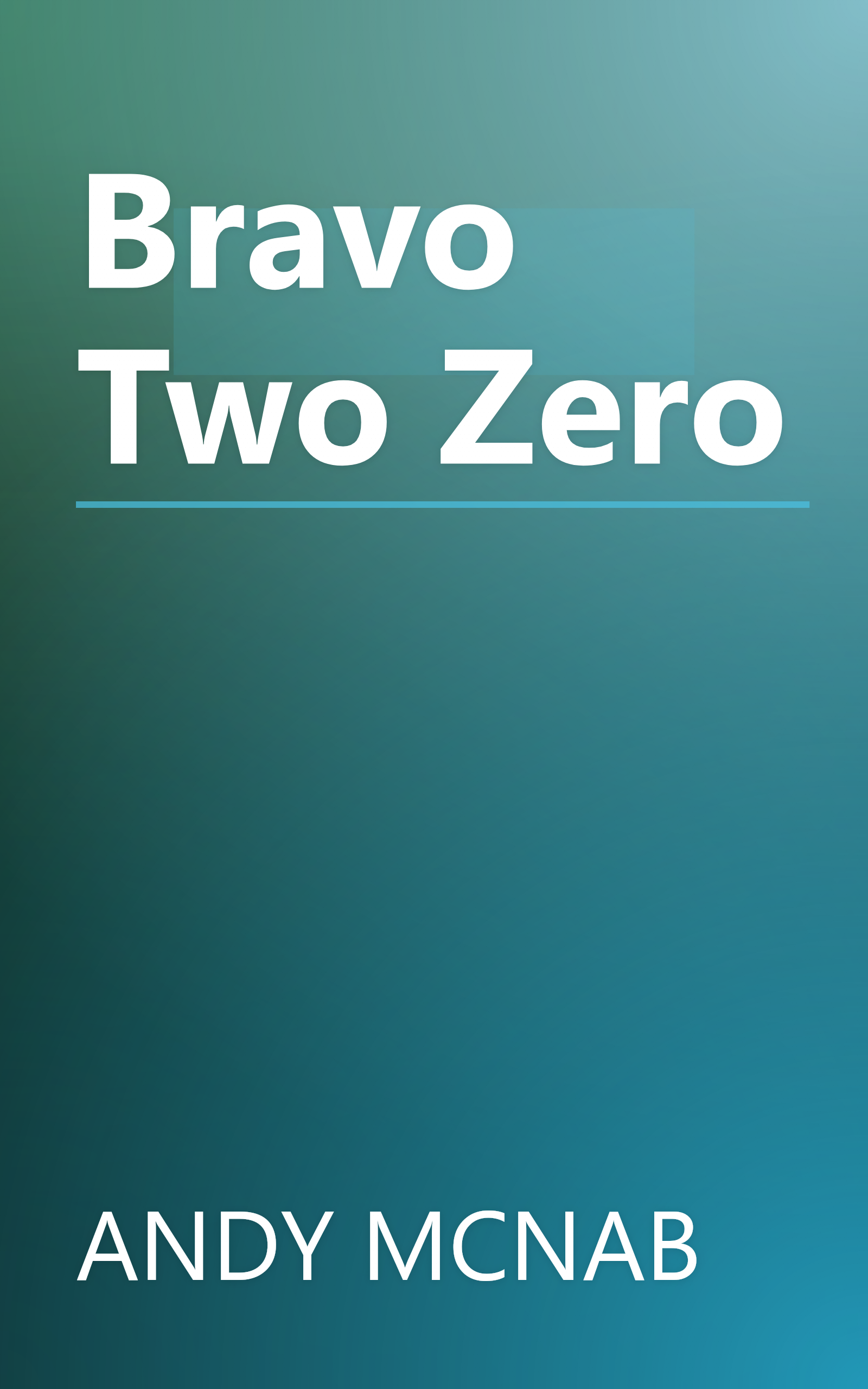 Bravo Two Zero book cover