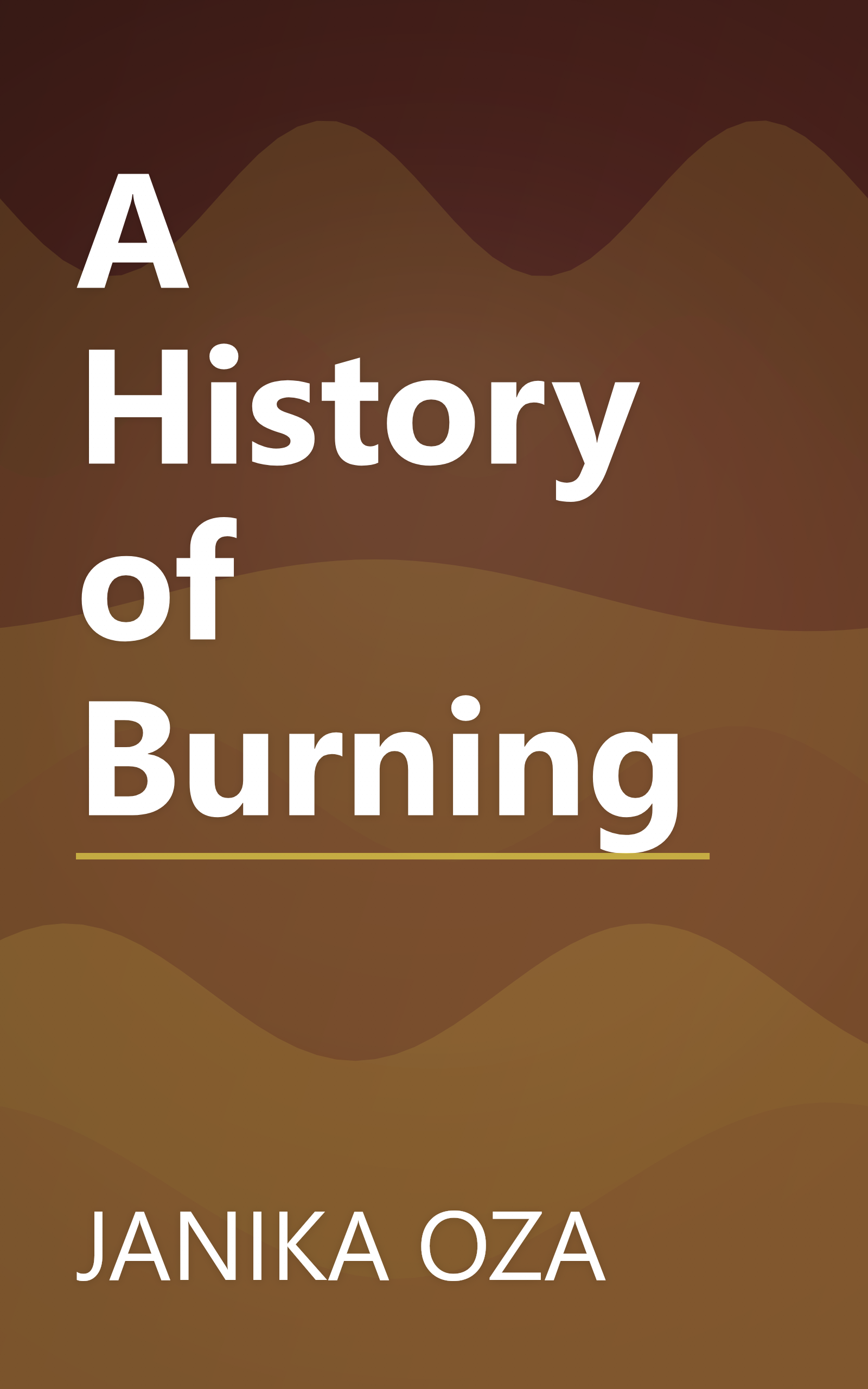 A History of Burning book cover