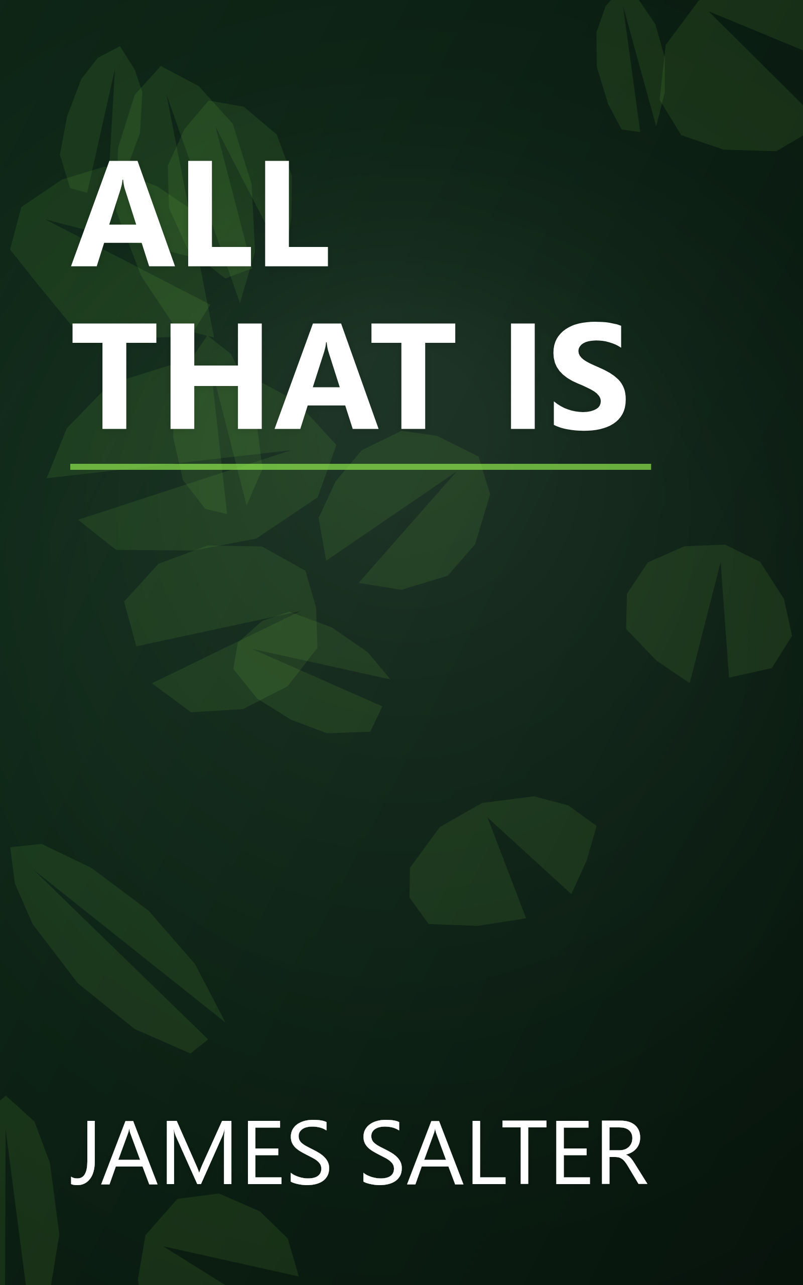 ALL THAT IS book cover