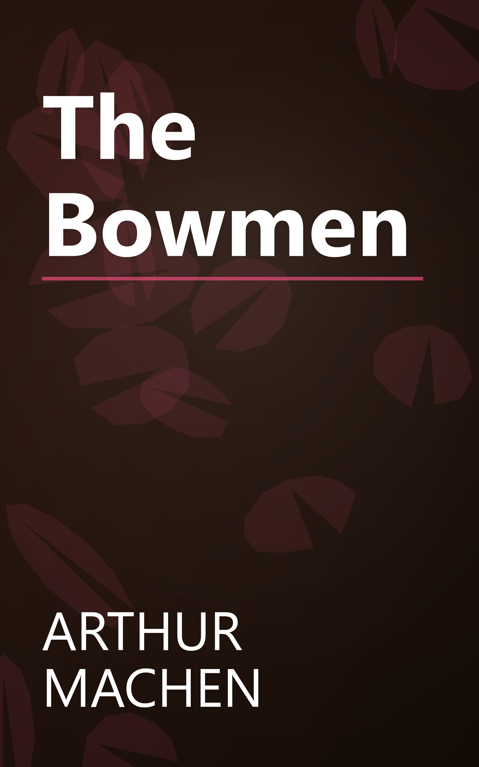 The Bowmen book cover