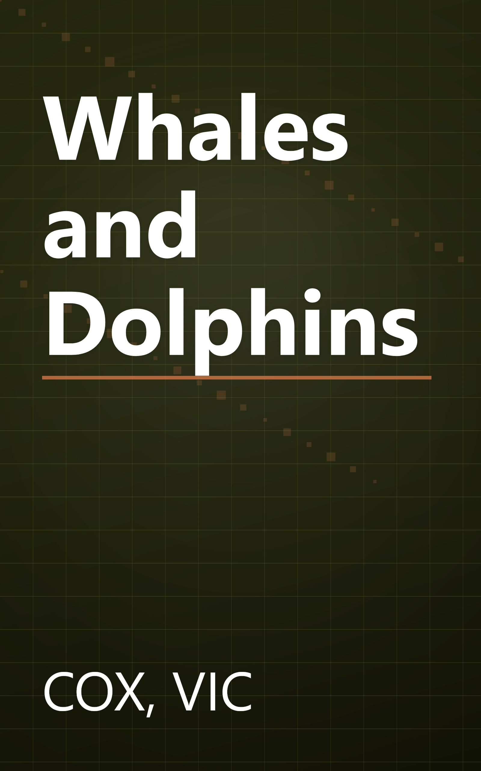 Whales and Dolphins book cover
