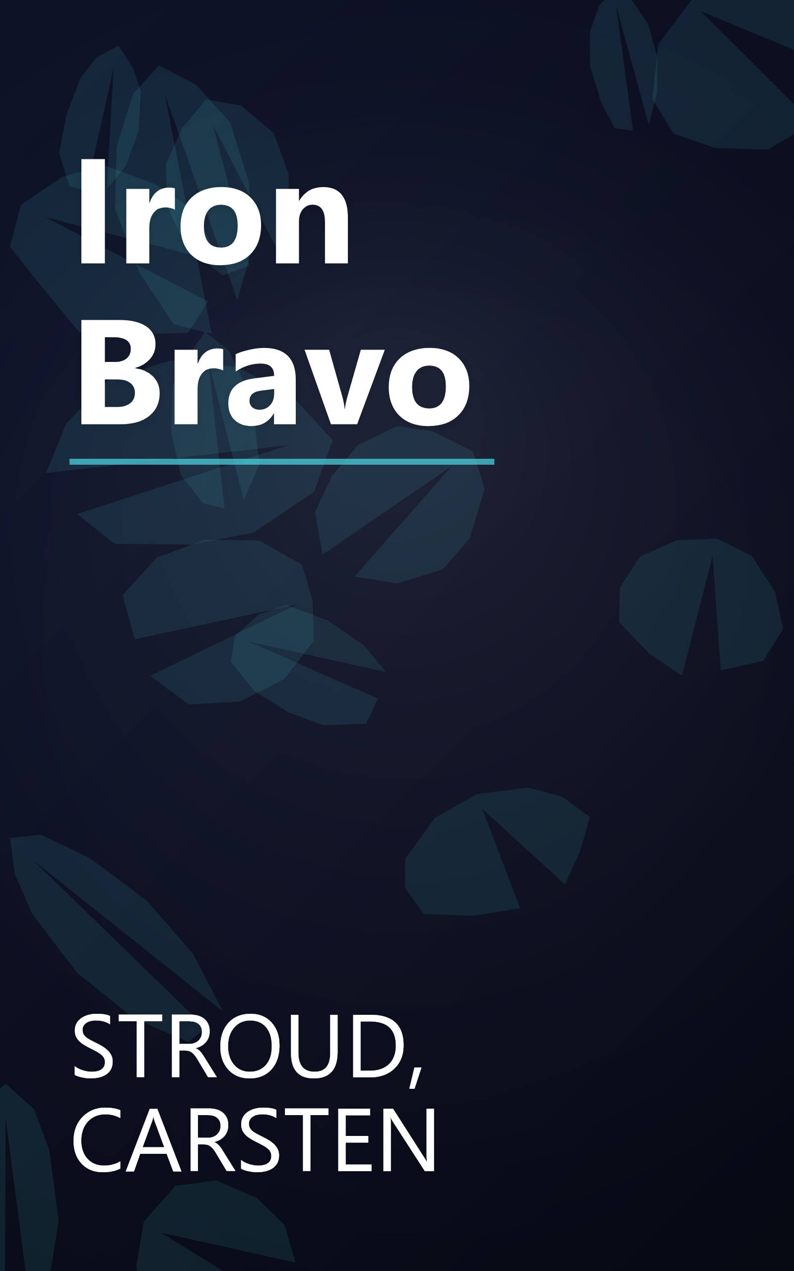 Iron Bravo book cover