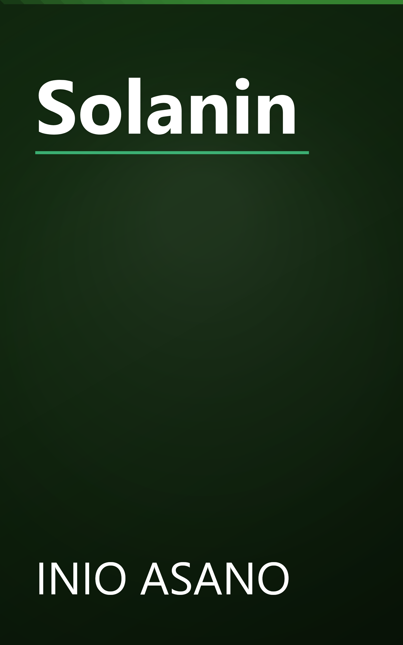 Solanin book cover