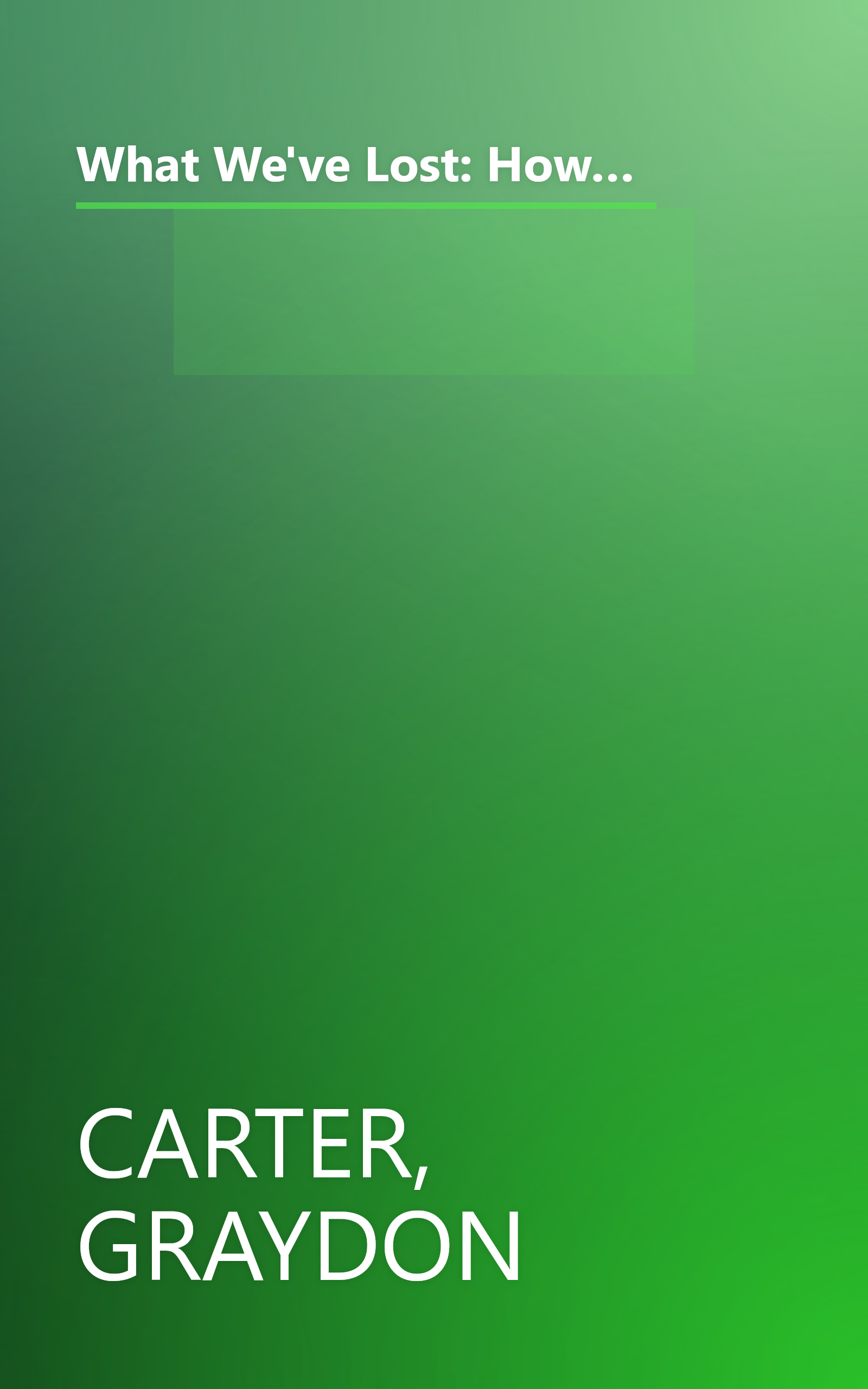 What We've Lost: How the Bush Administration Has Curtailed Our Freedoms, Mortgaged Our Economy, Ravaged Our Environment, and Damaged Our Standing in the World book cover