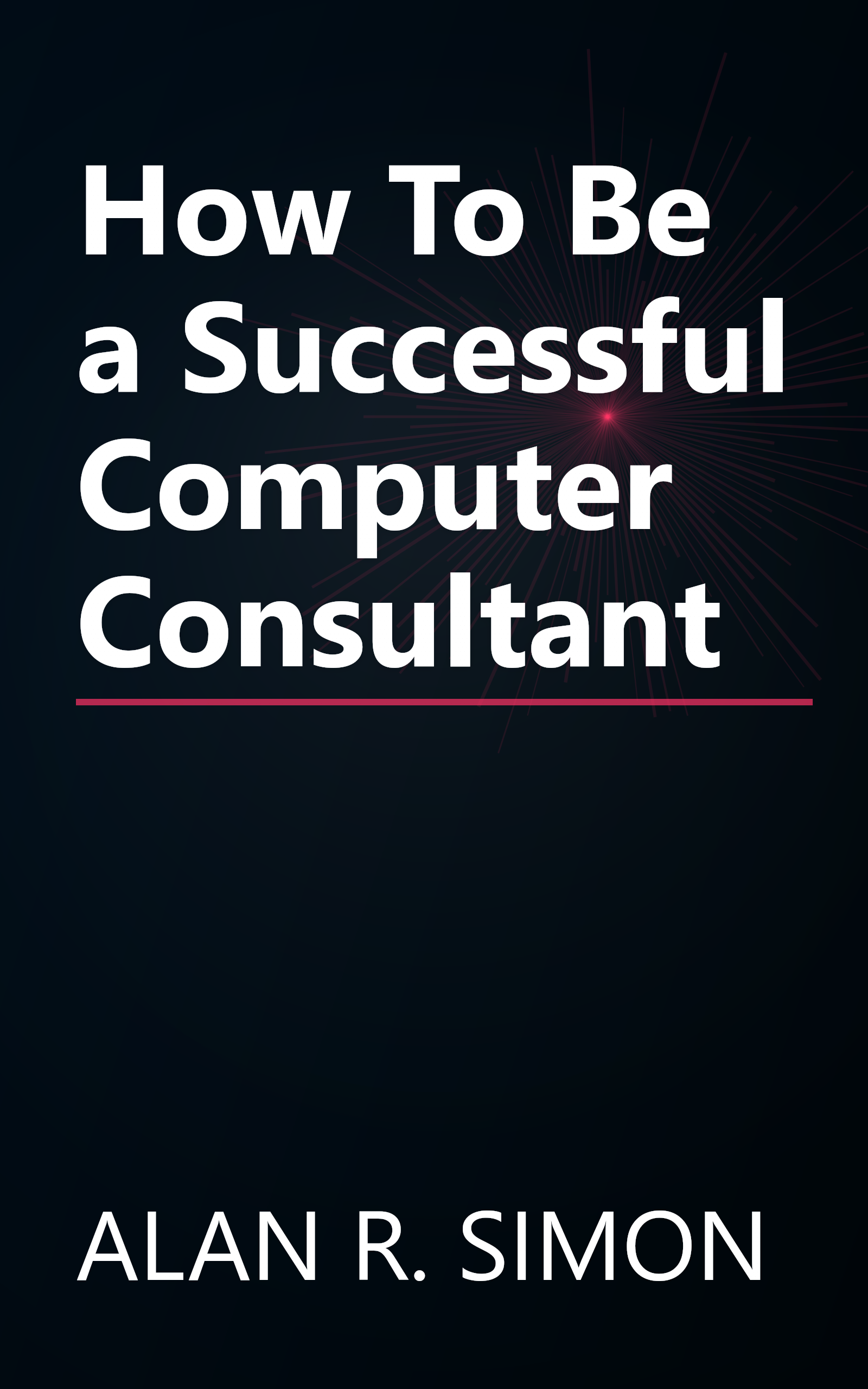 How To Be a Successful Computer Consultant book cover