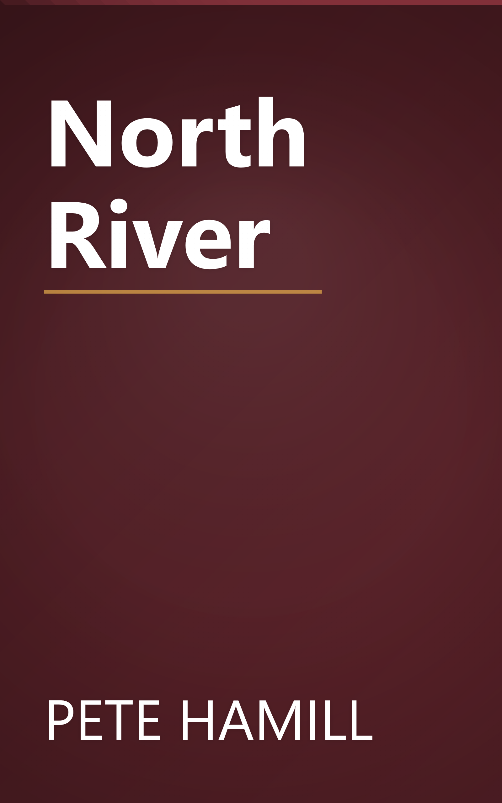 North River book cover