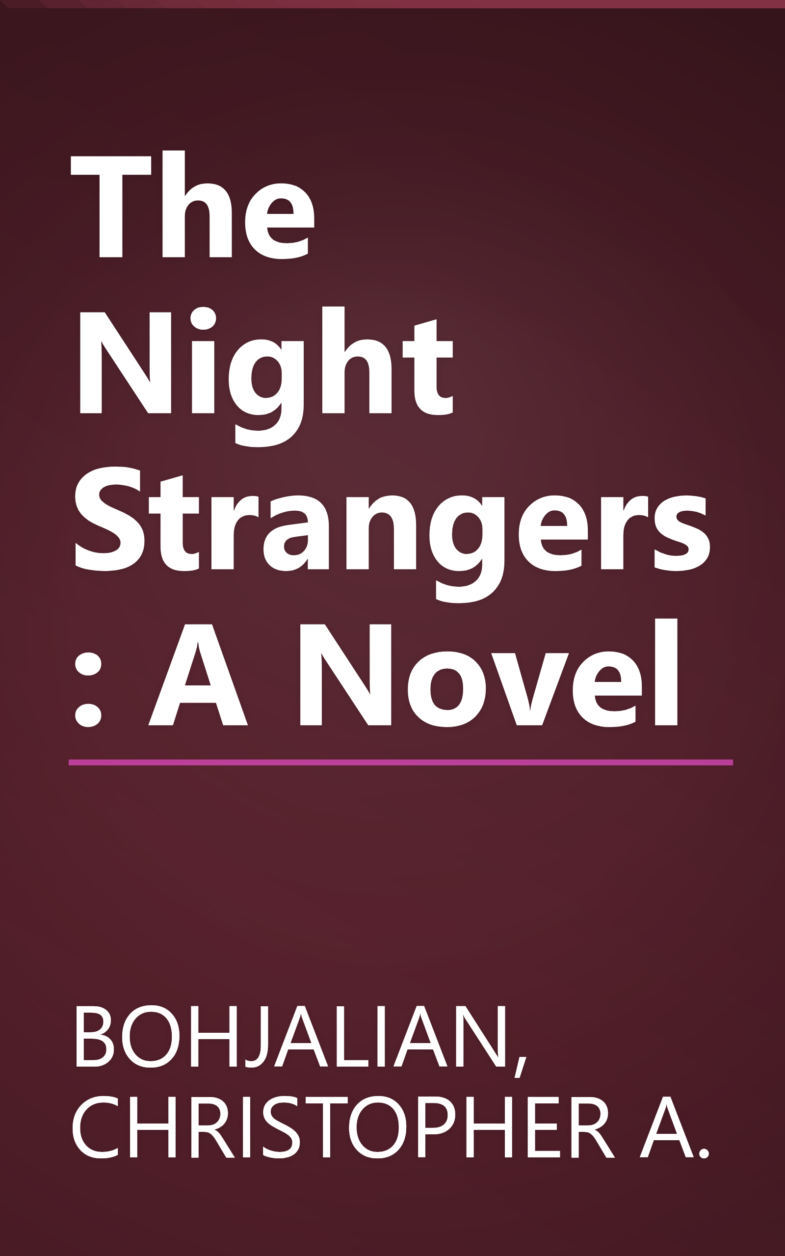 The Night Strangers: A Novel book cover