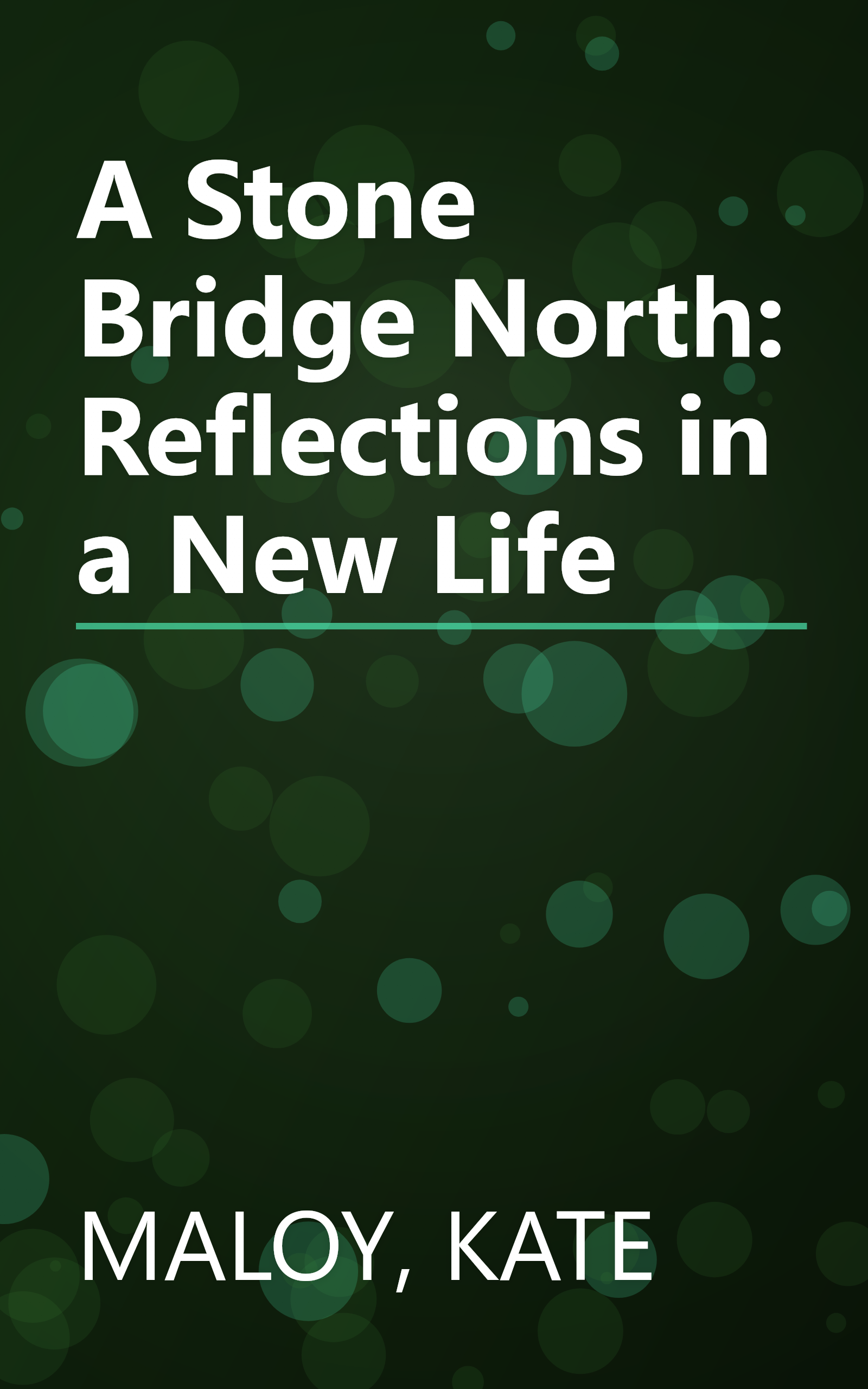 A Stone Bridge North: Reflections in a New Life book cover