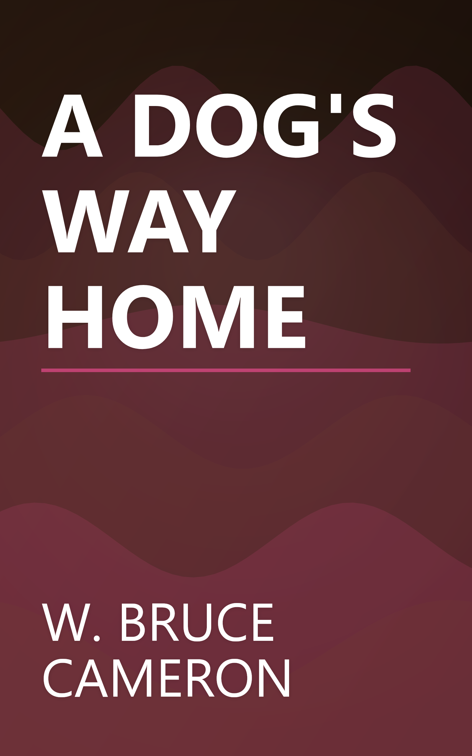A DOG'S WAY HOME book cover