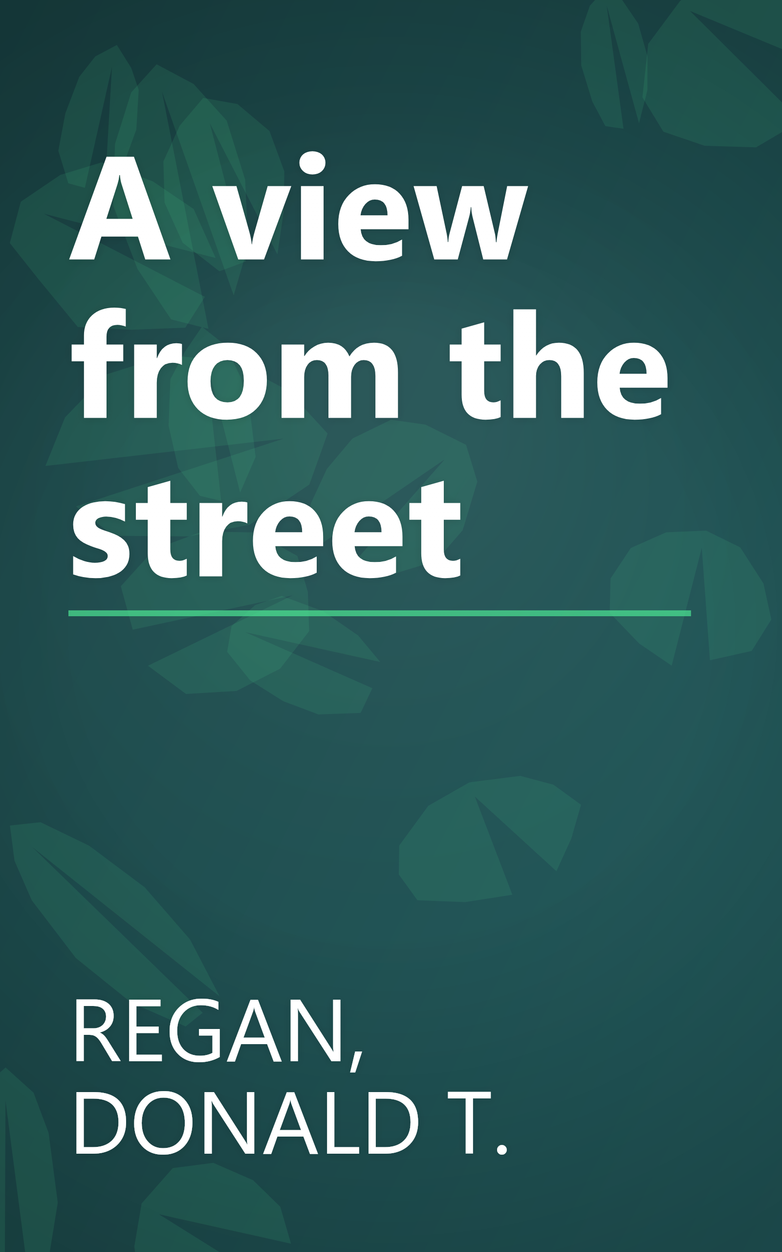 A view from the street book cover