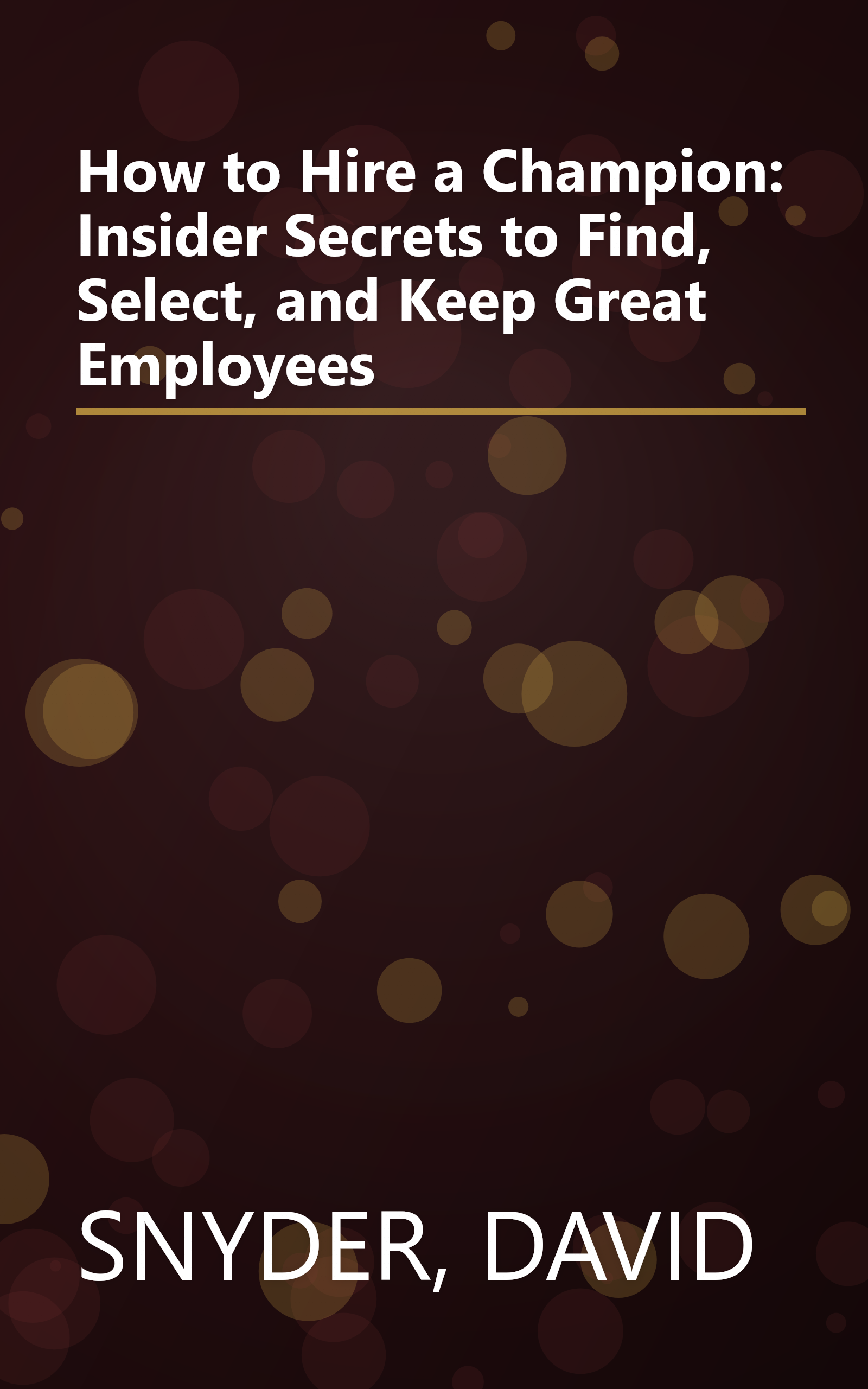 How to Hire a Champion: Insider Secrets to Find, Select, and Keep Great Employees book cover