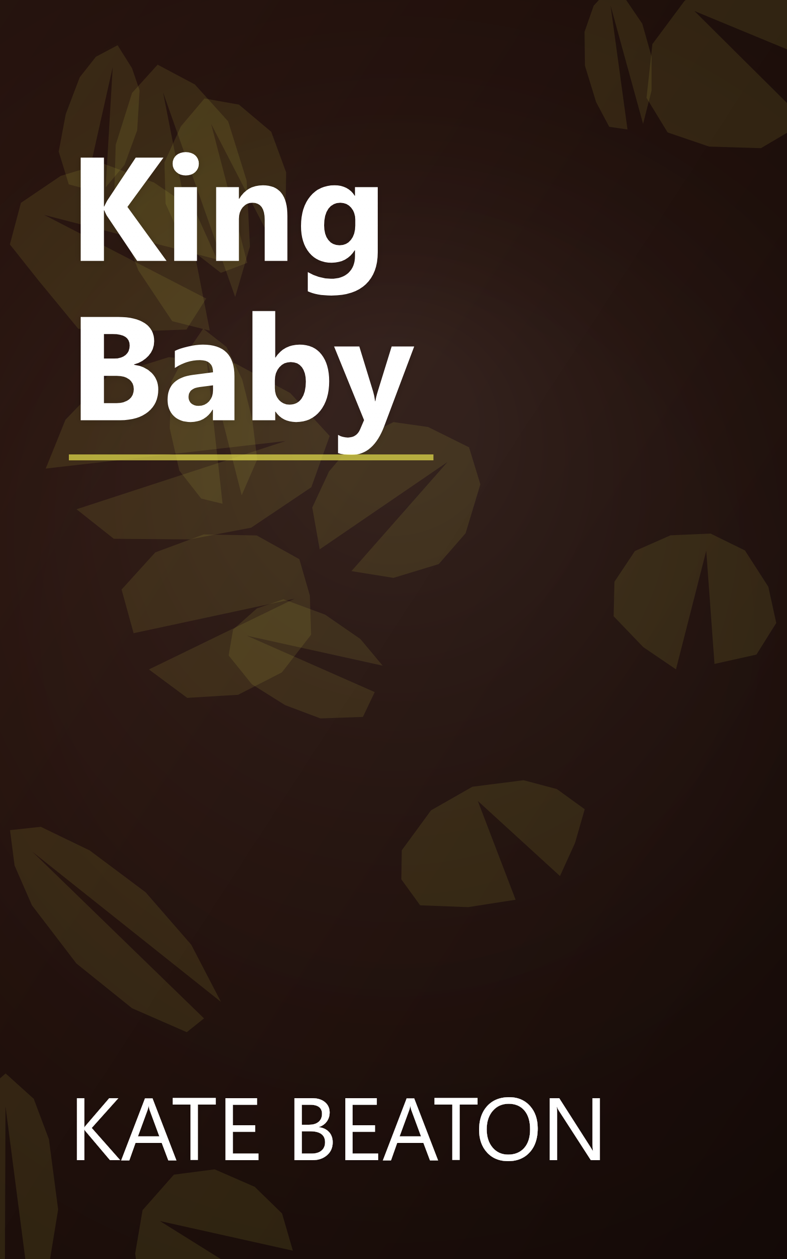 King Baby book cover