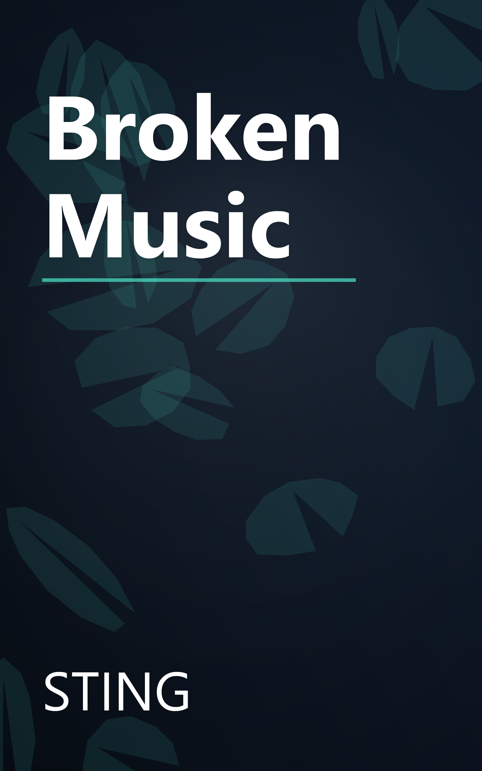 Broken Music book cover