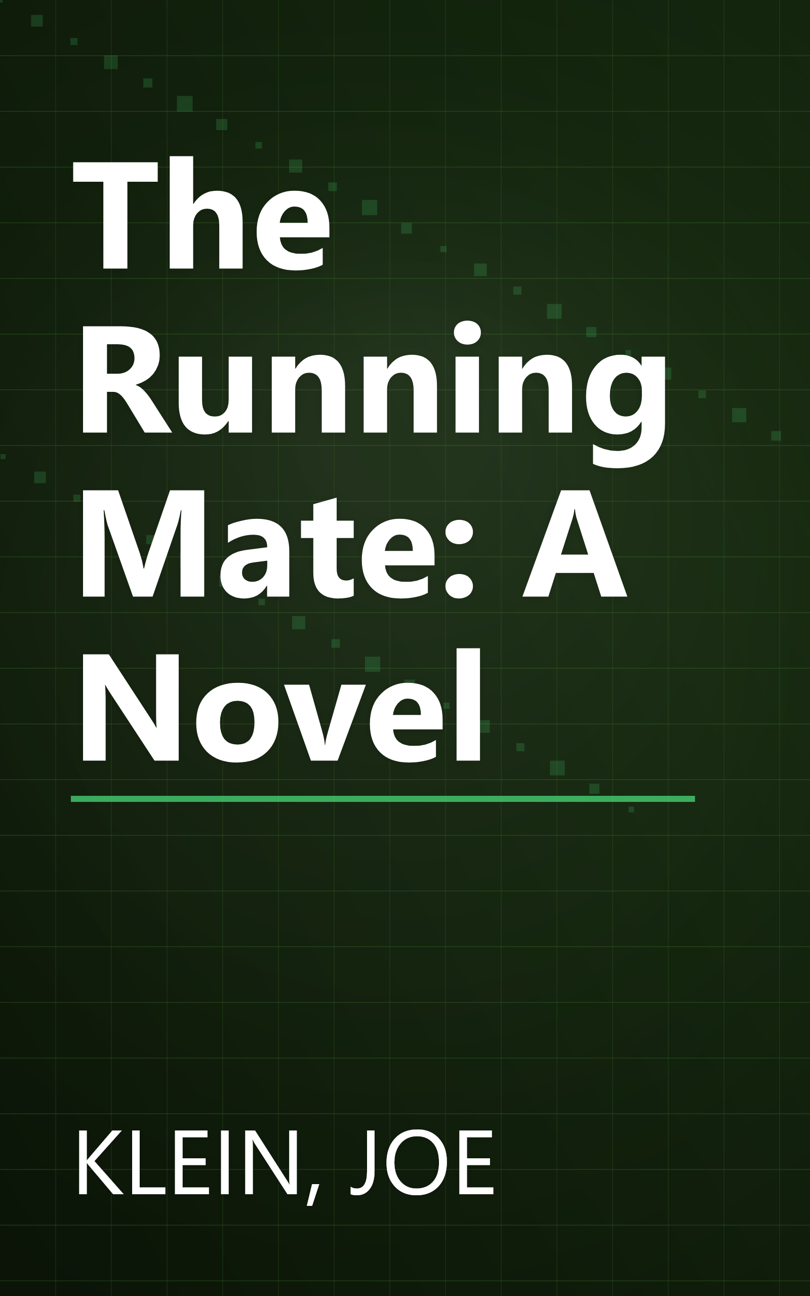 The Running Mate: A Novel book cover
