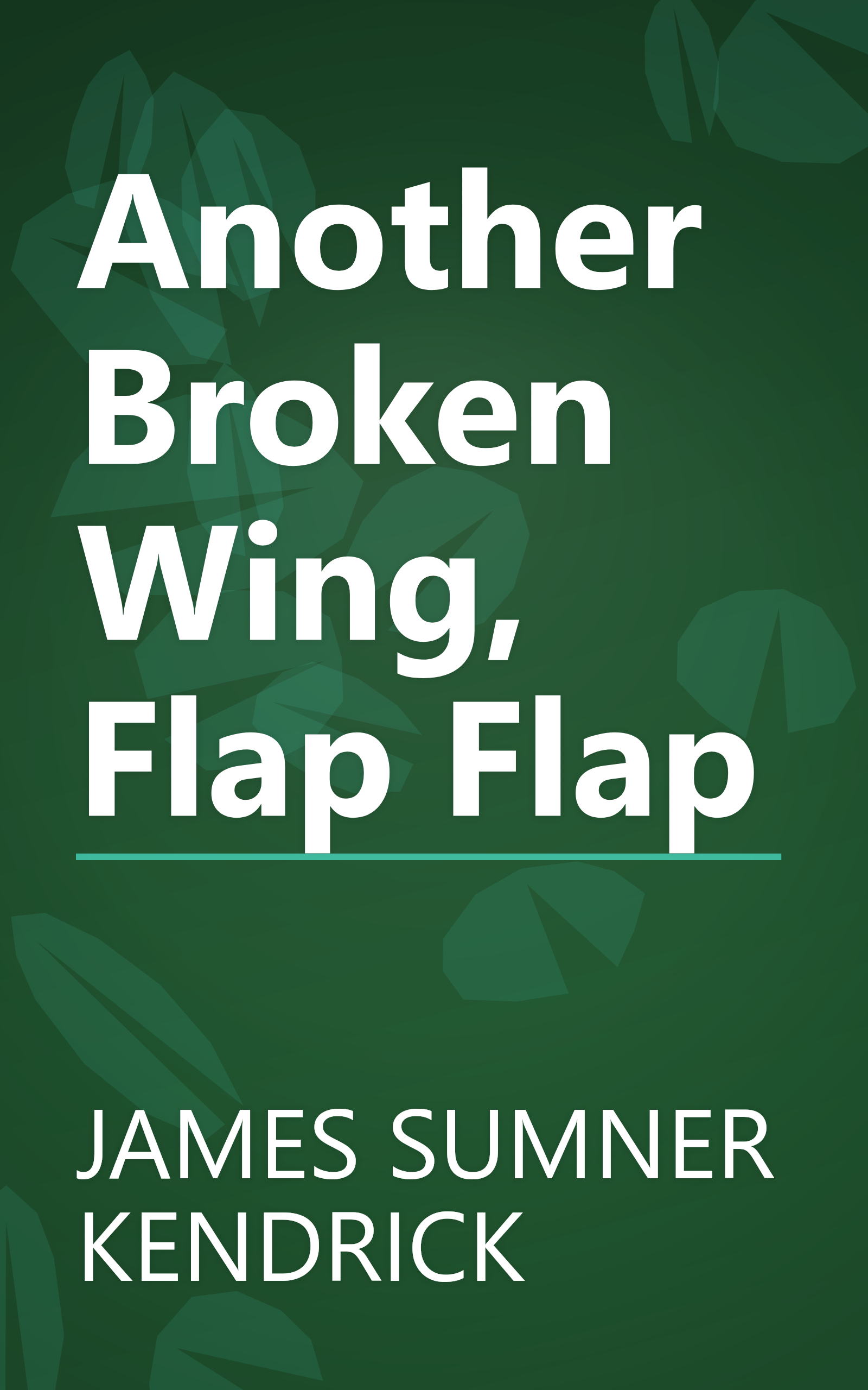 Another Broken Wing, Flap Flap book cover