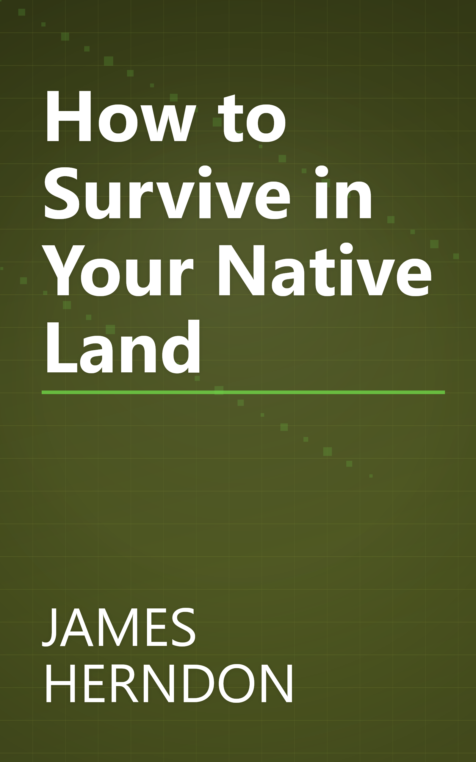How to Survive in Your Native Land book cover