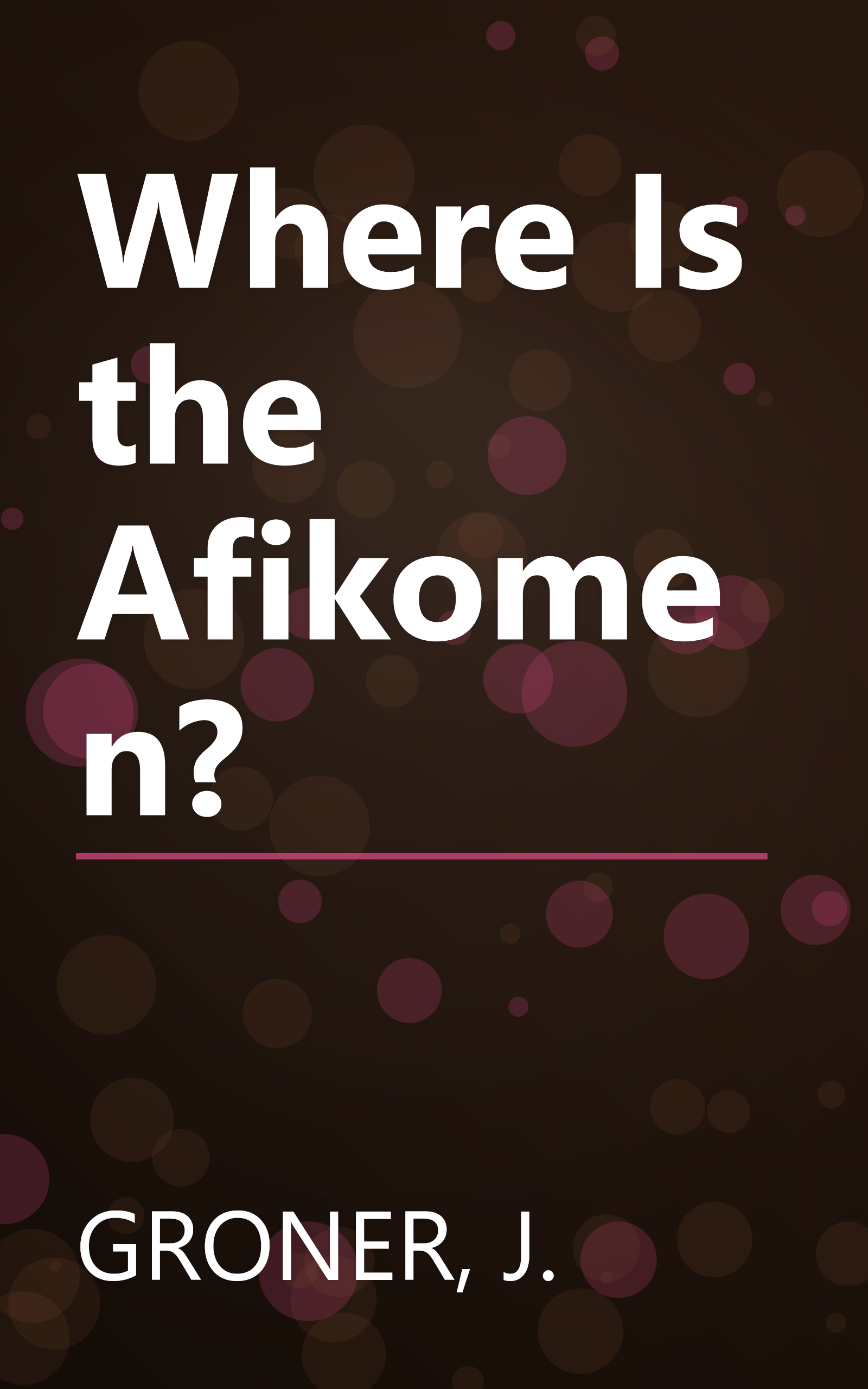 Where Is the Afikomen? book cover